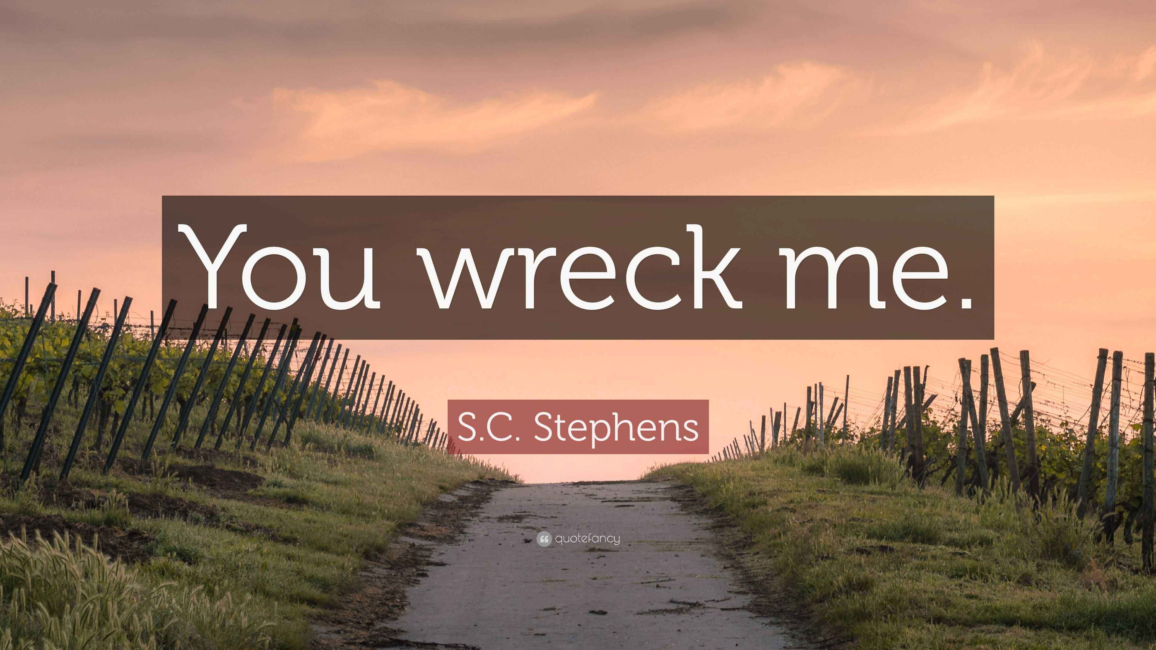 S.C. Stephens Quote: “You wreck me.”