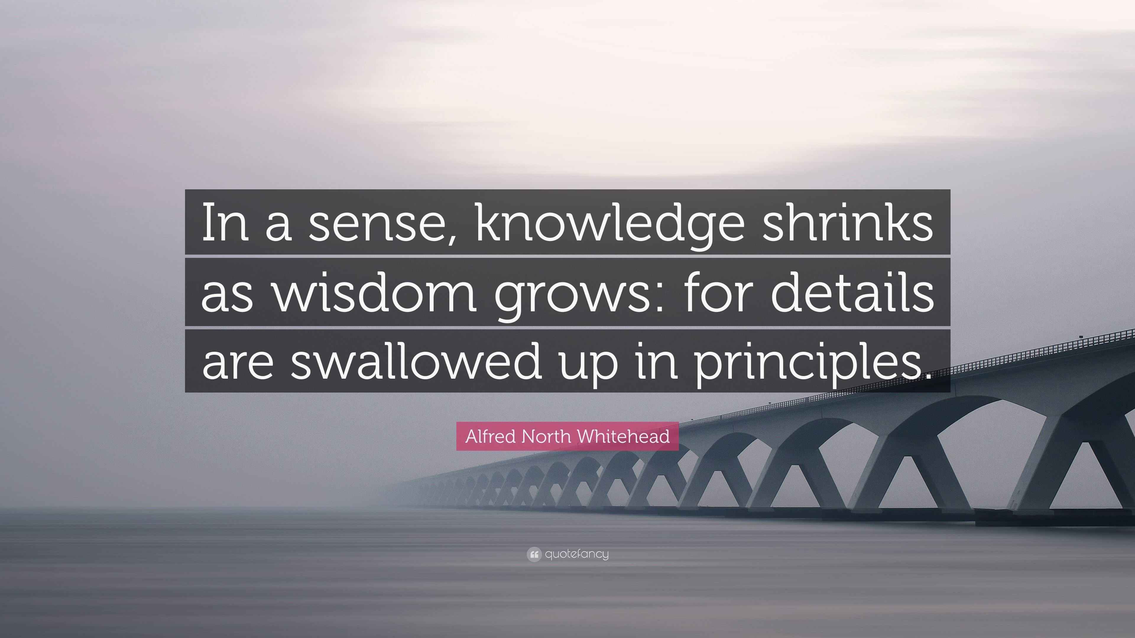 Alfred North Whitehead Quote: “In a sense, knowledge shrinks as wisdom ...