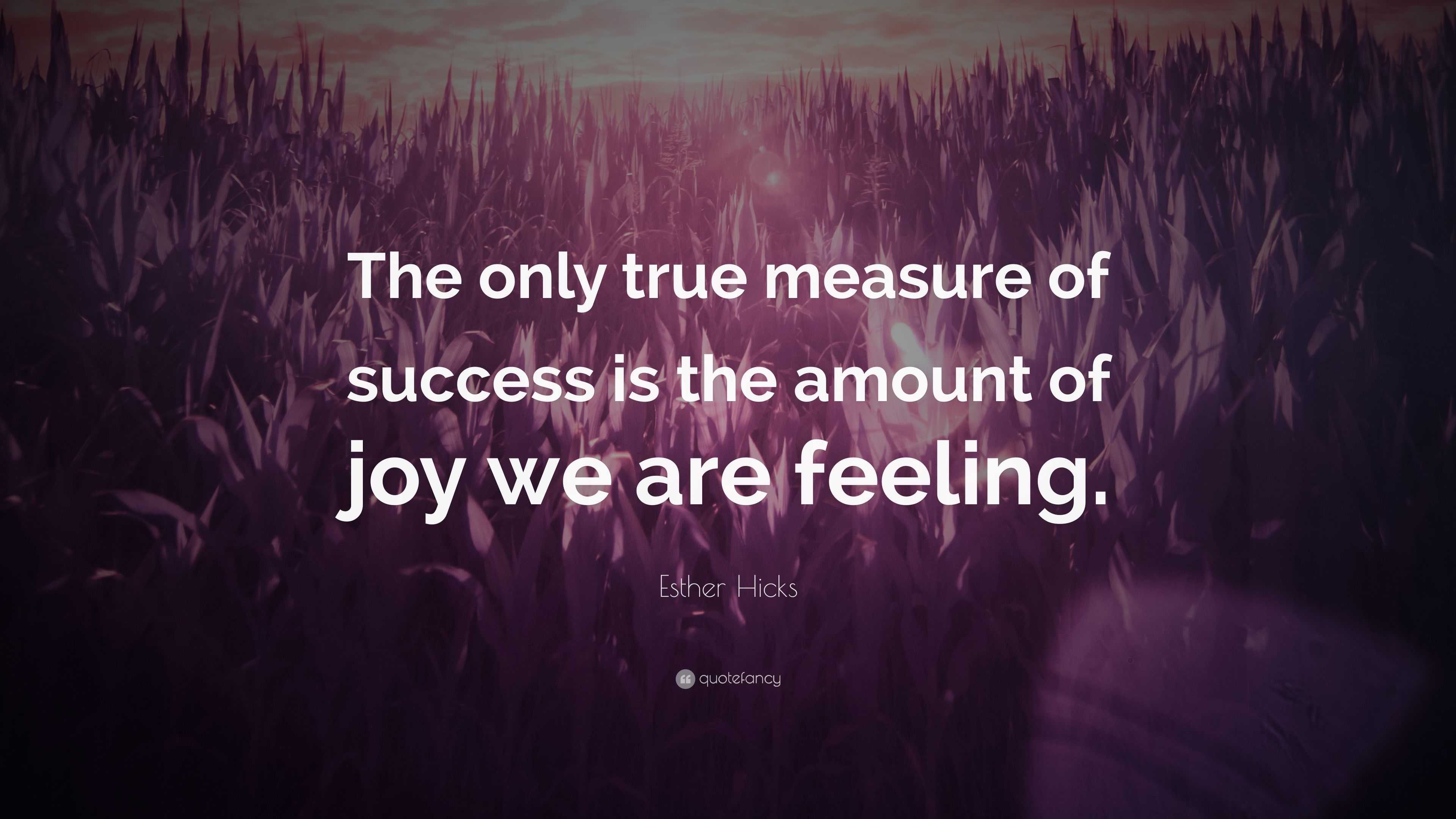 Esther Hicks Quote: “The only true measure of success is the amount of ...
