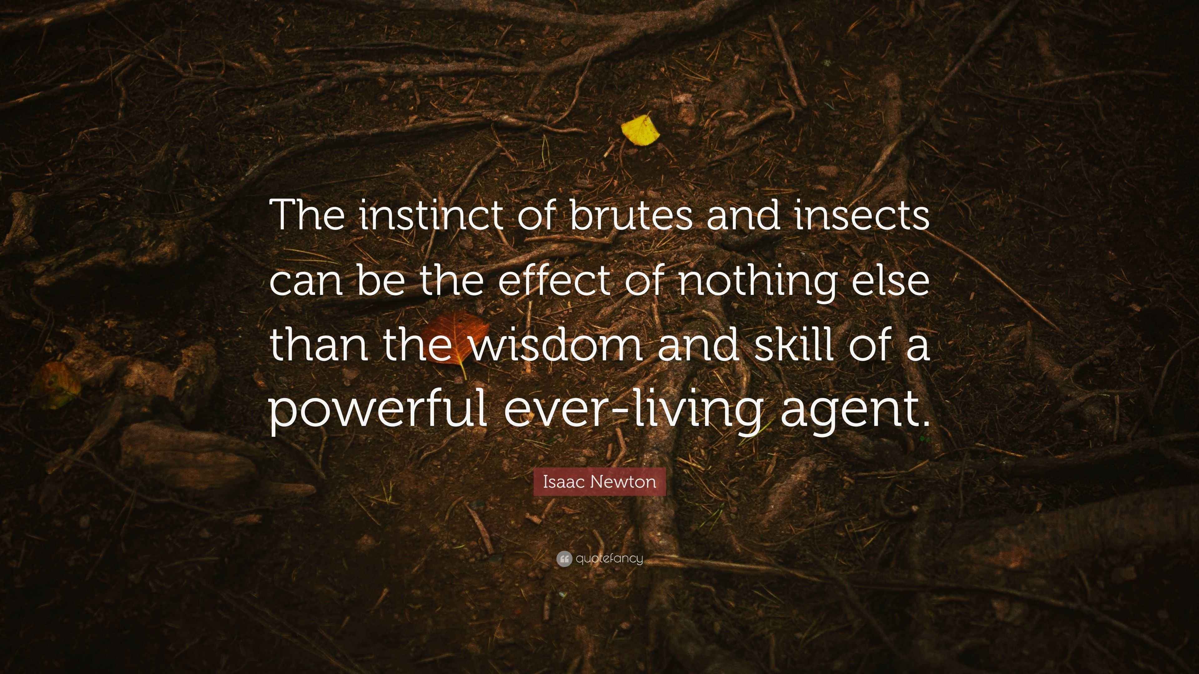 Isaac Newton Quote: “The instinct of brutes and insects can be the ...