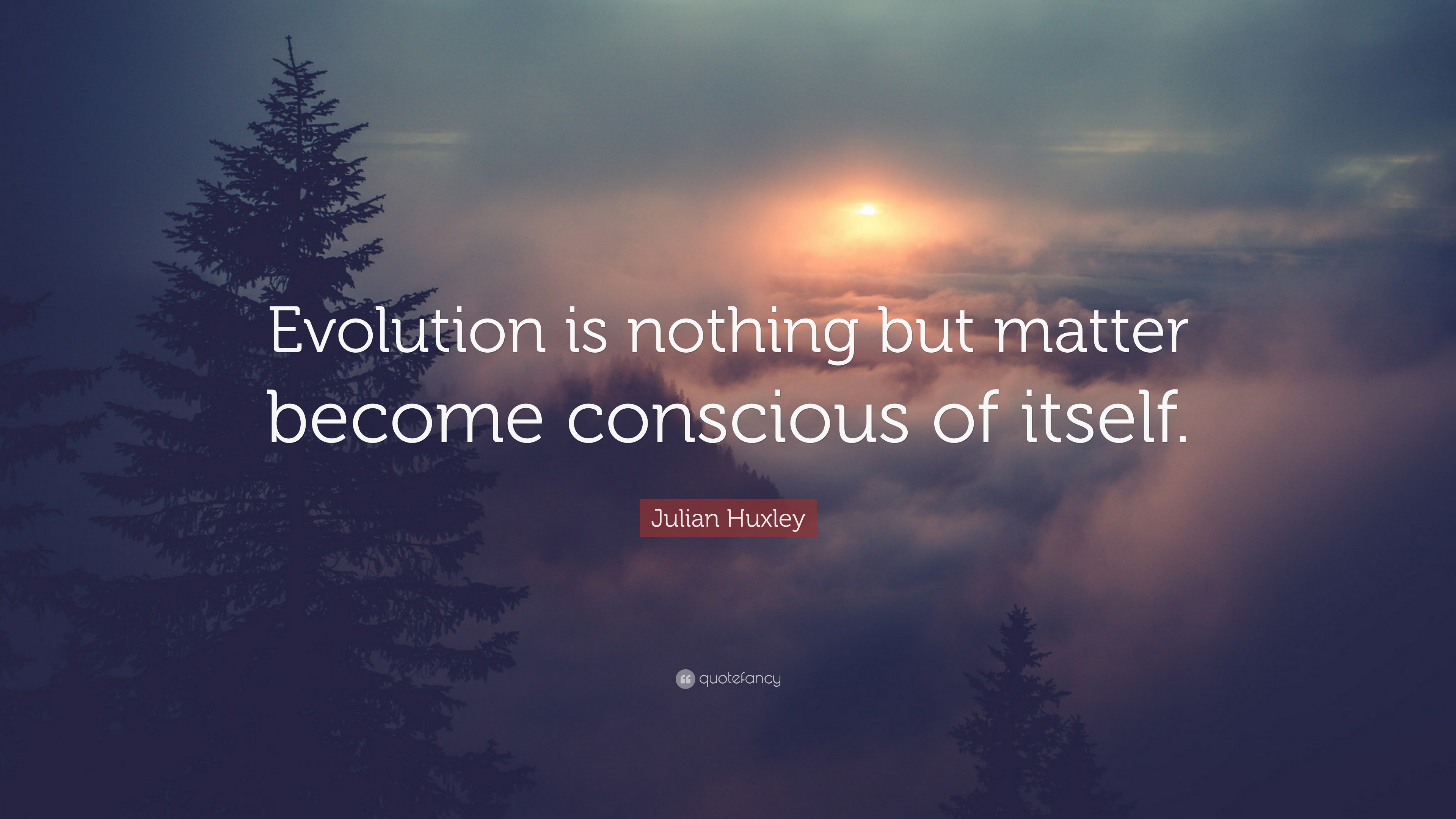 Julian Huxley Quote: “Evolution is nothing but matter become conscious ...