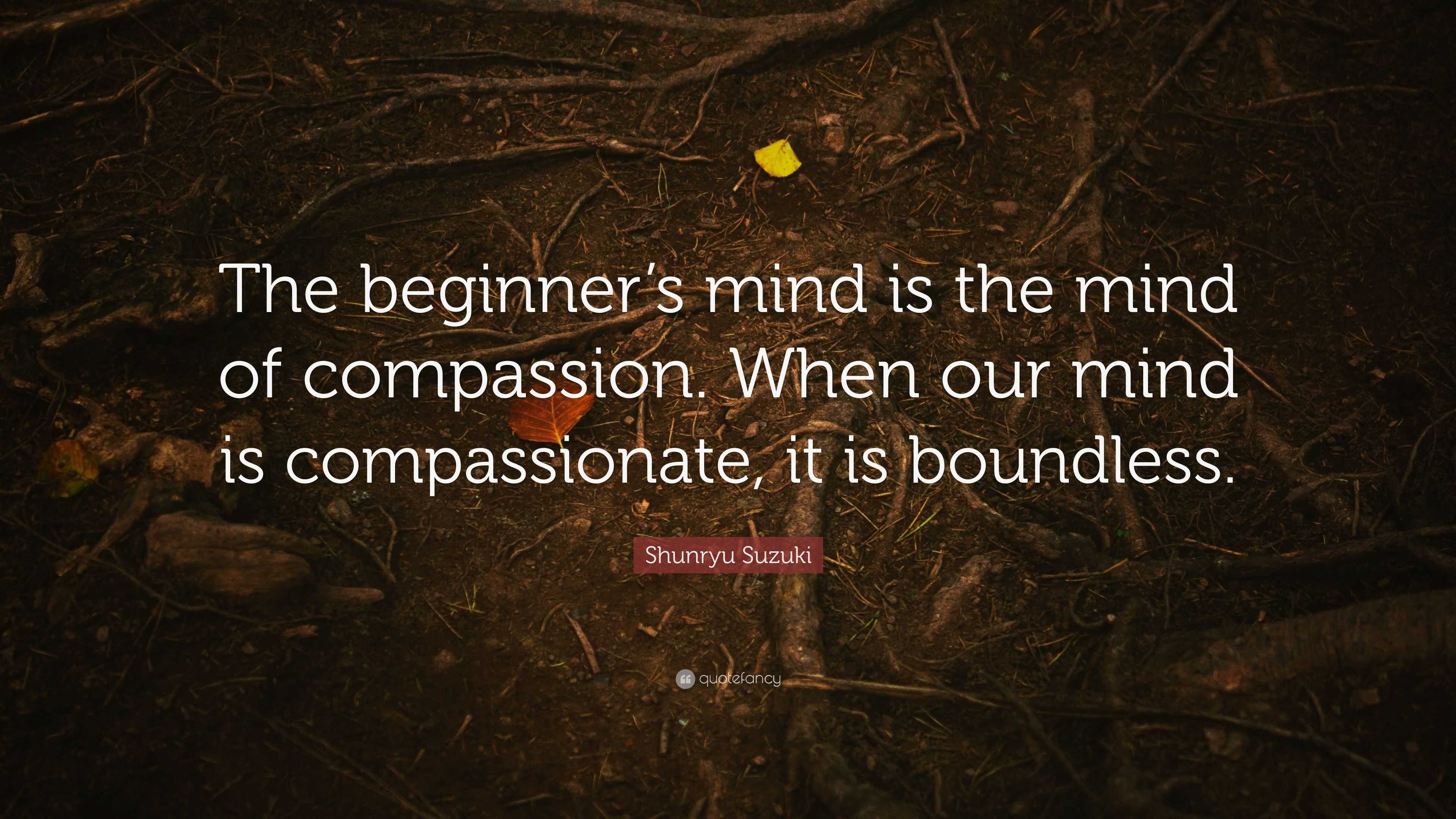 Shunryu Suzuki Quote: “The beginner’s mind is the mind of compassion ...