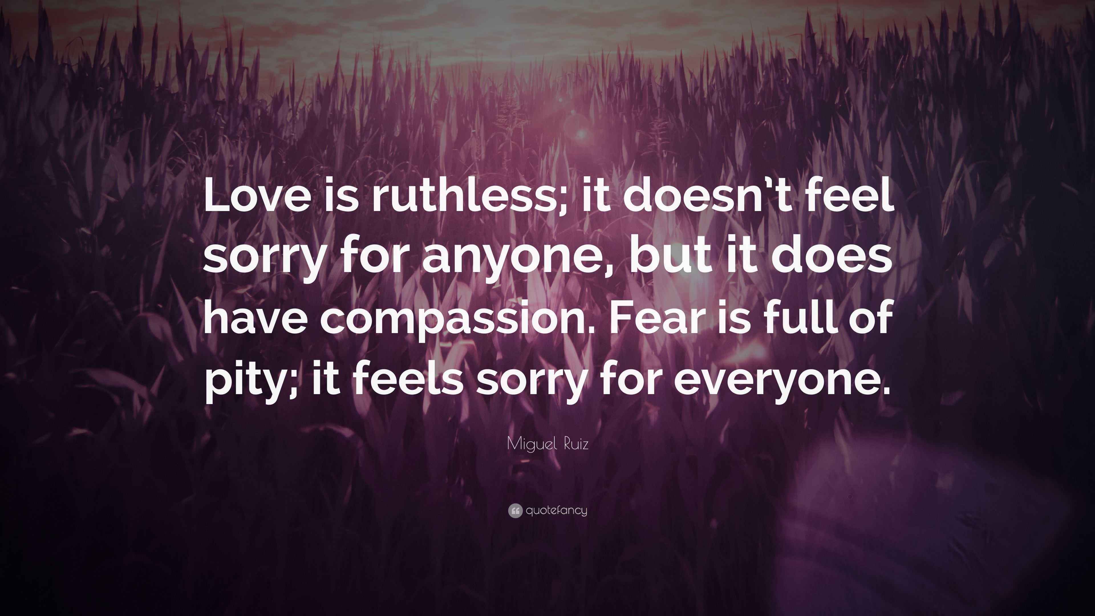 Miguel Ruiz Quote: “Love is ruthless; it doesn’t feel sorry for anyone ...