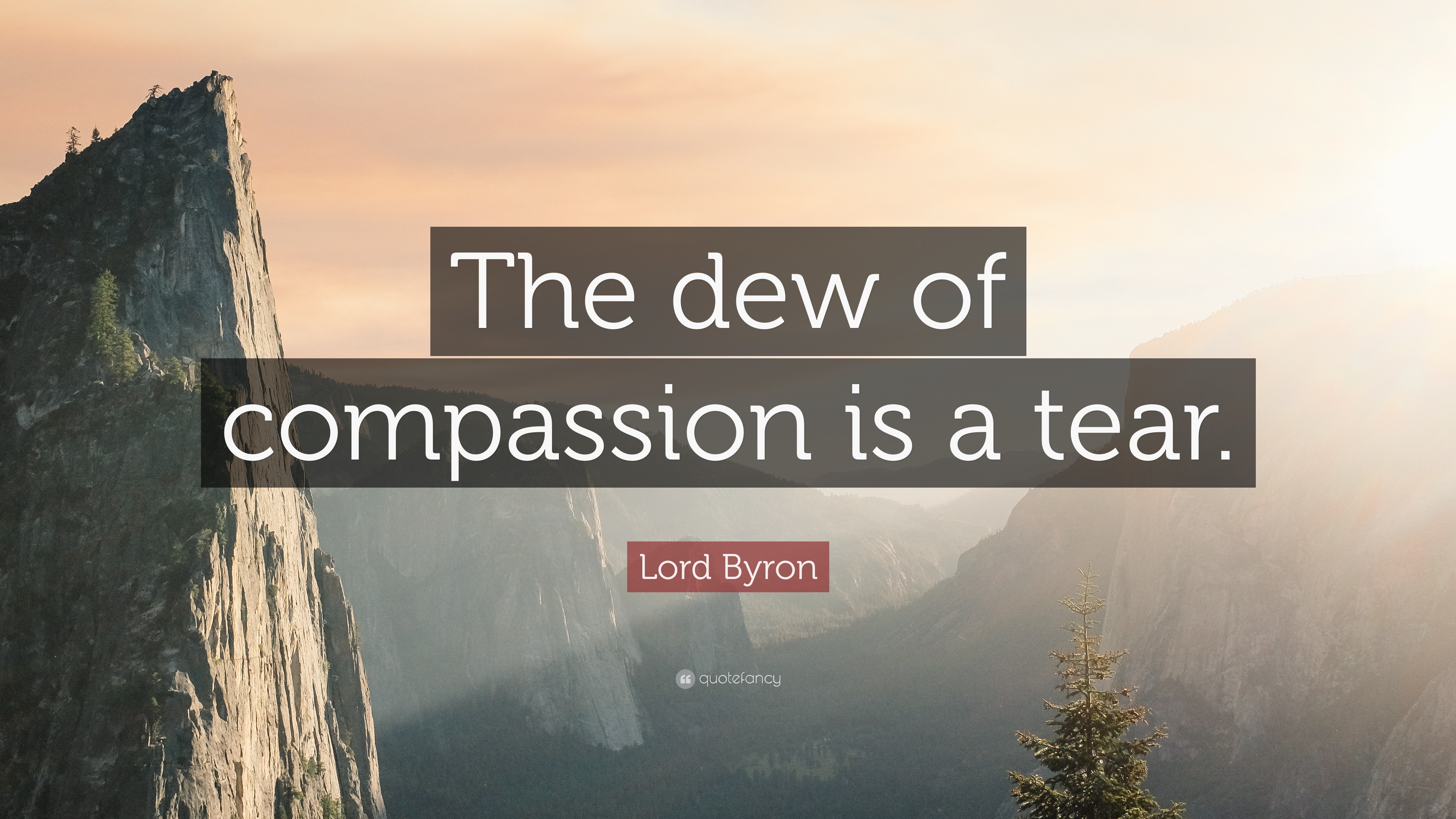 Lord Byron Quote: “The dew of compassion is a tear.”
