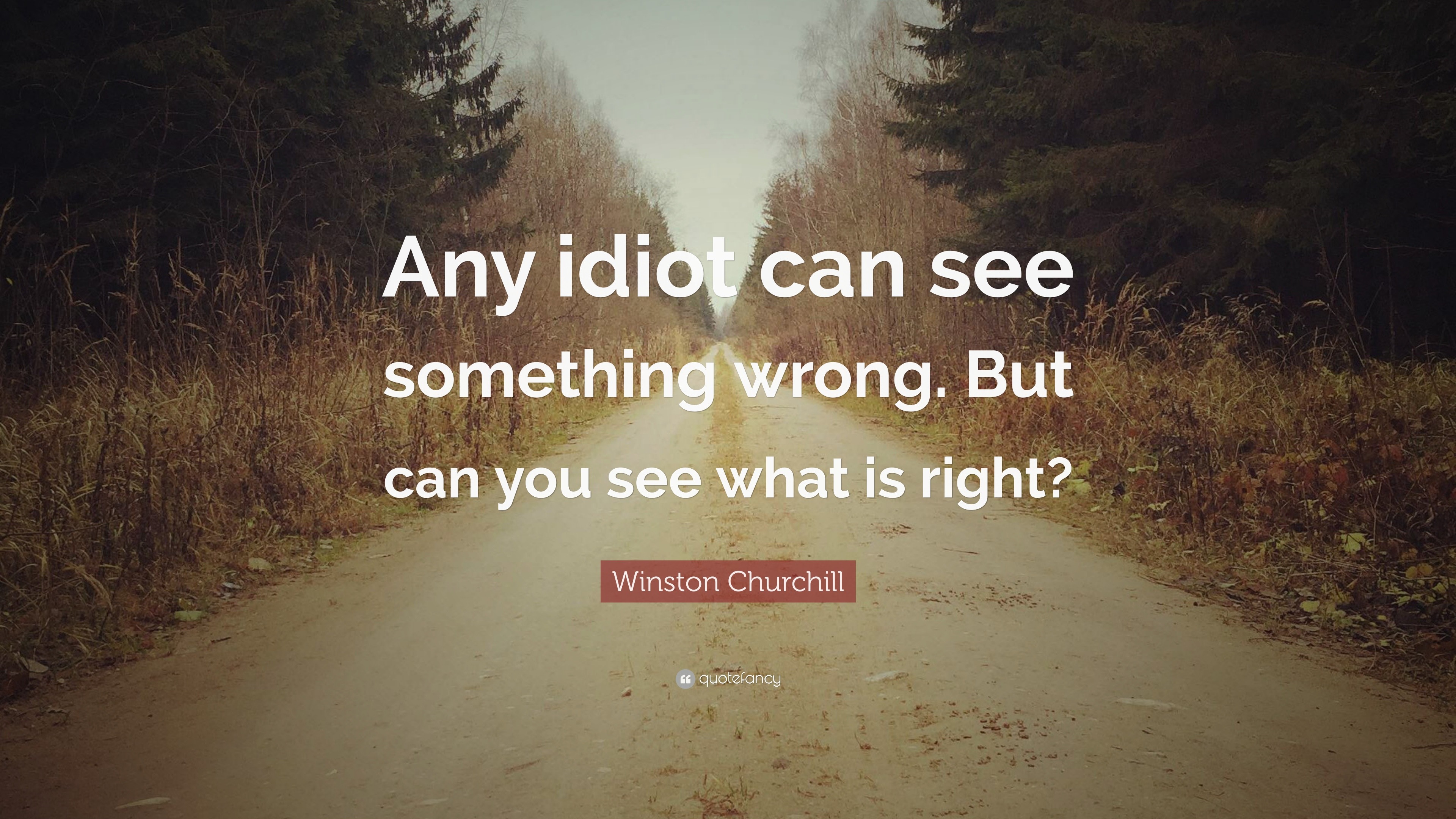 Winston Churchill Quote: “Any idiot can see something wrong. But can ...