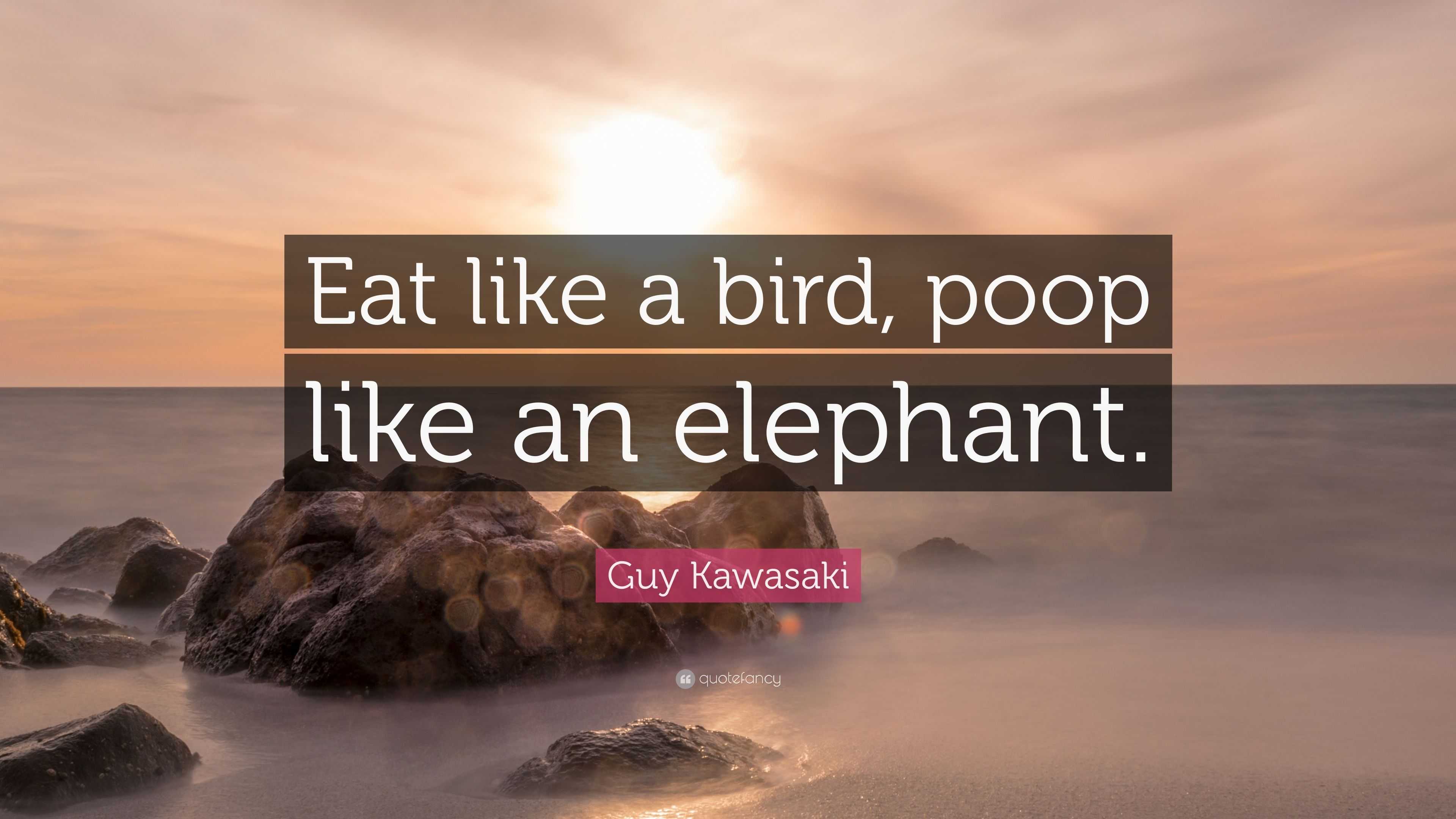 Guy Kawasaki Quote: “Eat like a bird, poop like an elephant.”
