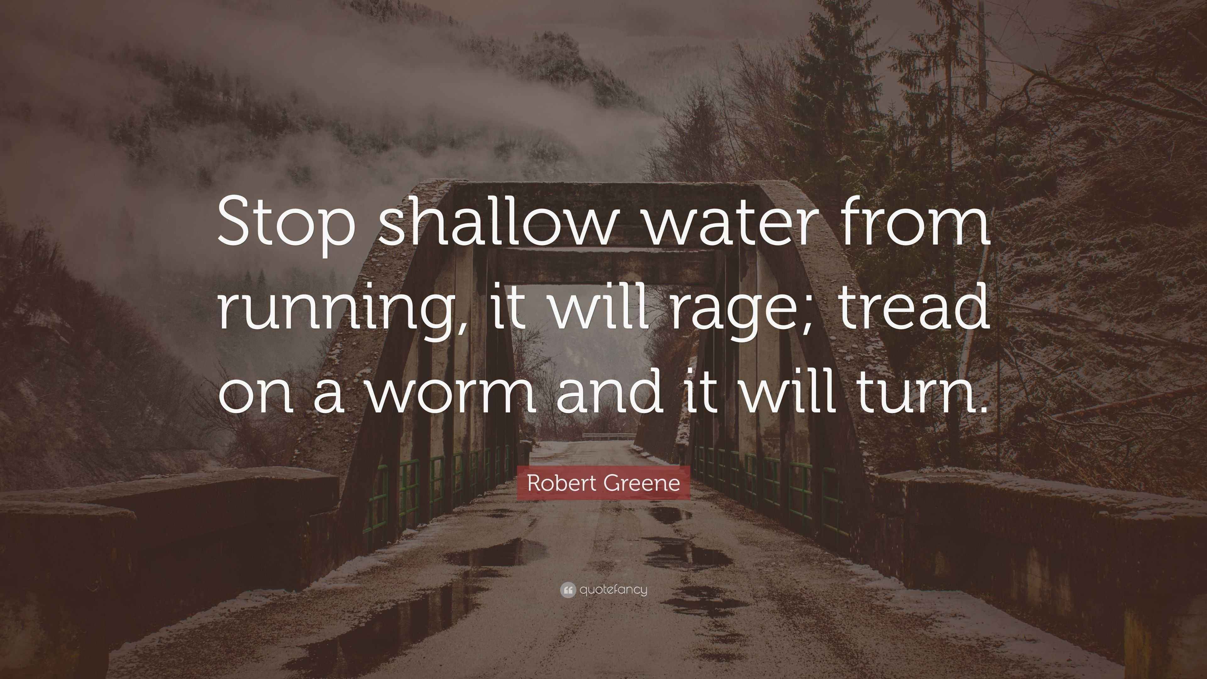 Robert Greene Quote: “Stop shallow water from running, it will rage ...