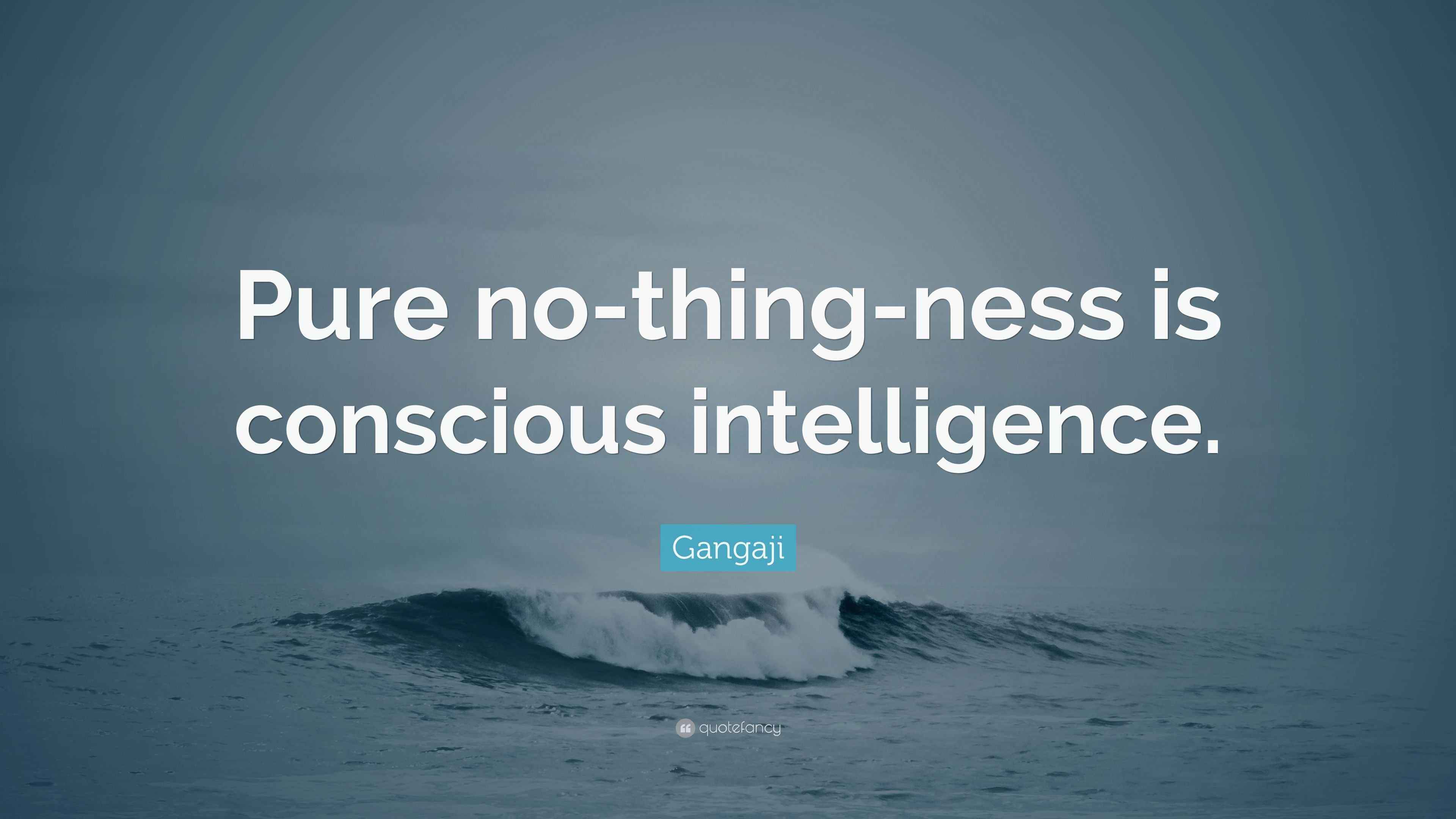 Gangaji Quote: “Pure no-thing-ness is conscious intelligence.”