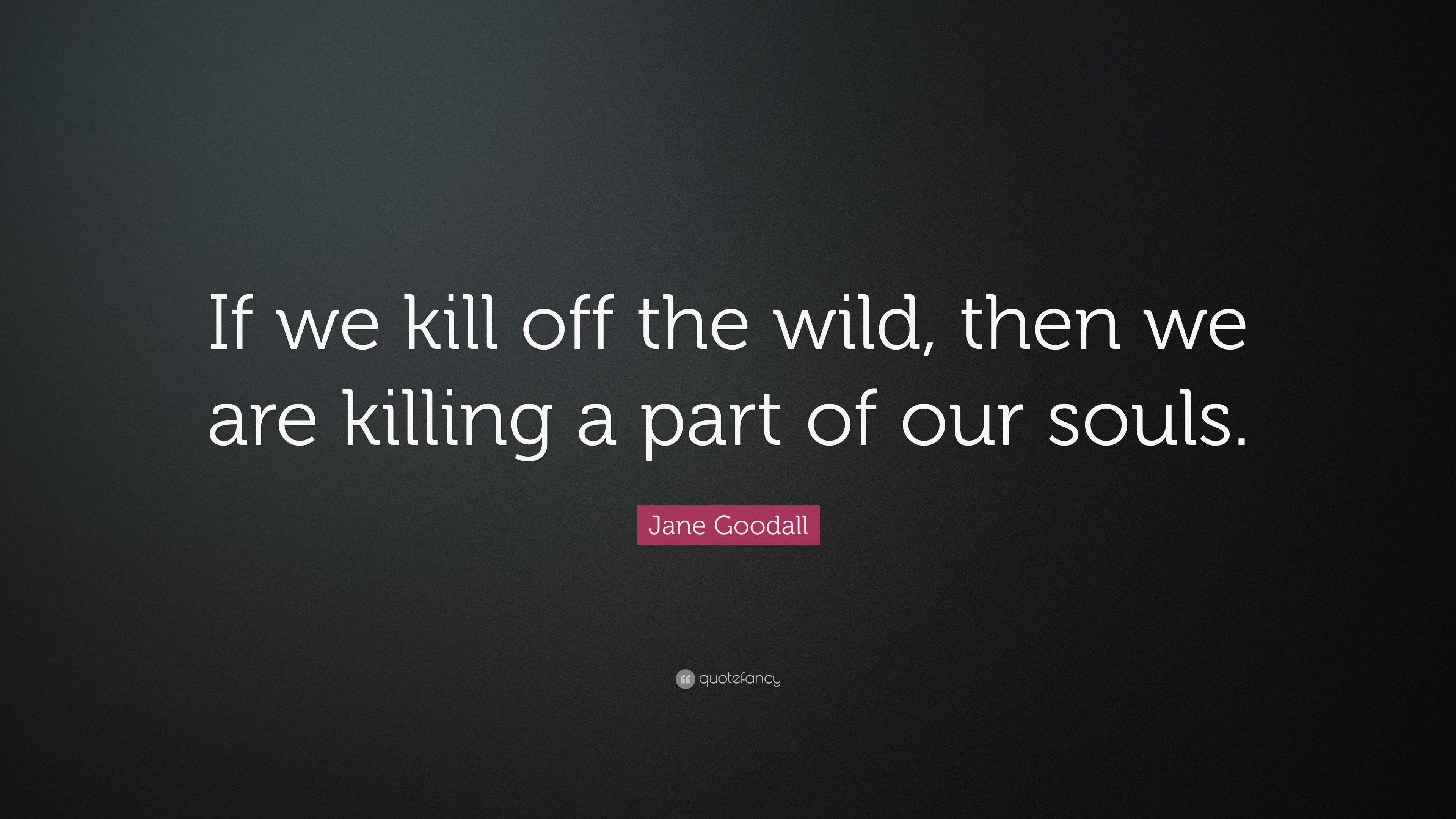 Jane Goodall Quote: “If we kill off the wild, then we are killing a ...