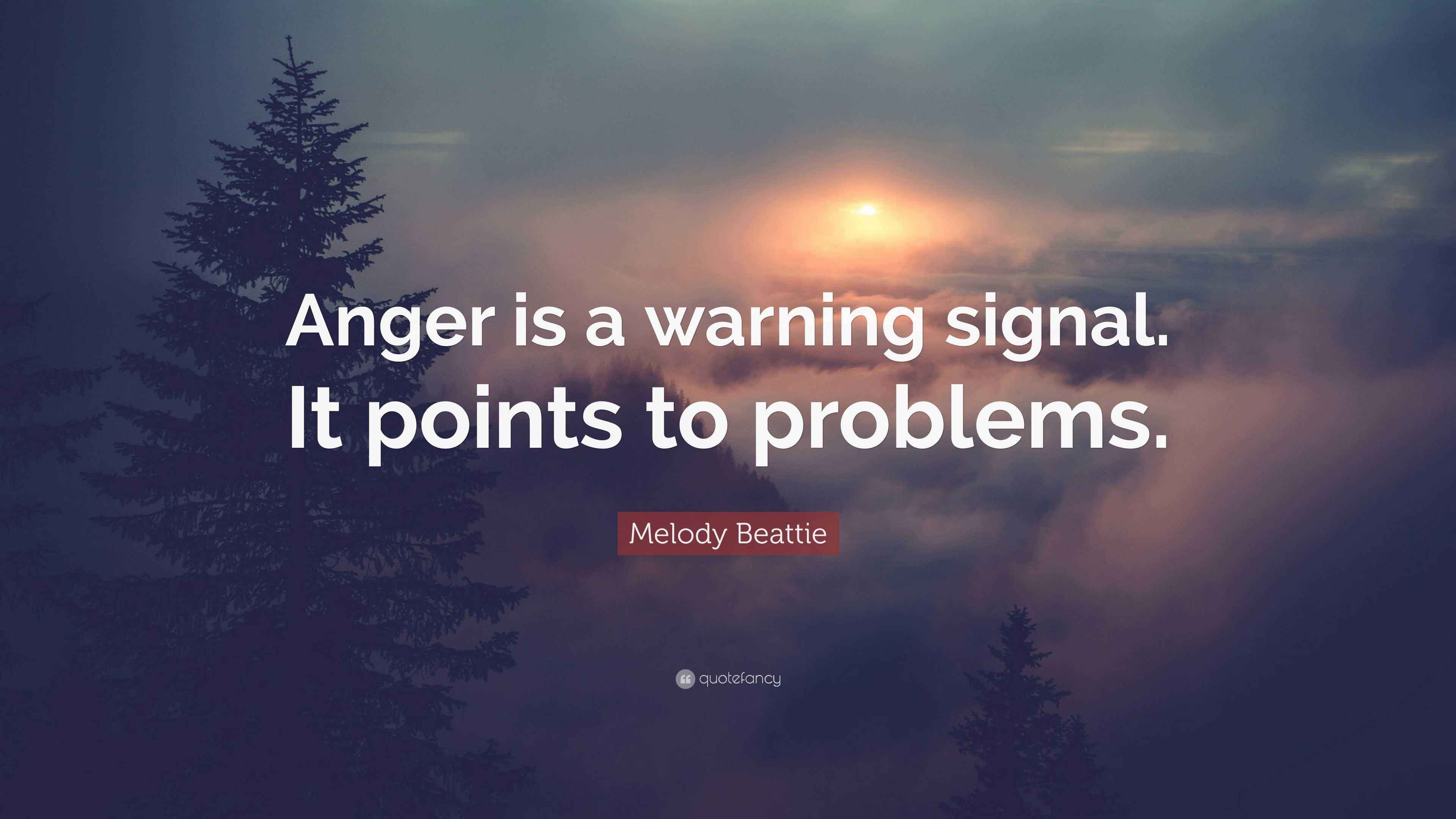 Melody Beattie Quote: “Anger is a warning signal. It points to problems.”