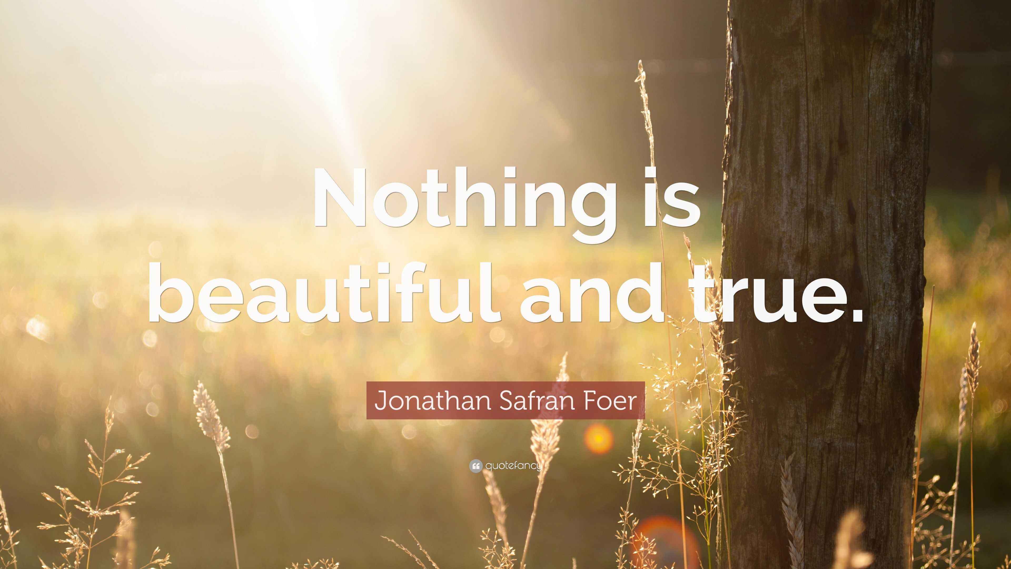 Jonathan Safran Foer Quote: “Nothing is beautiful and true.”