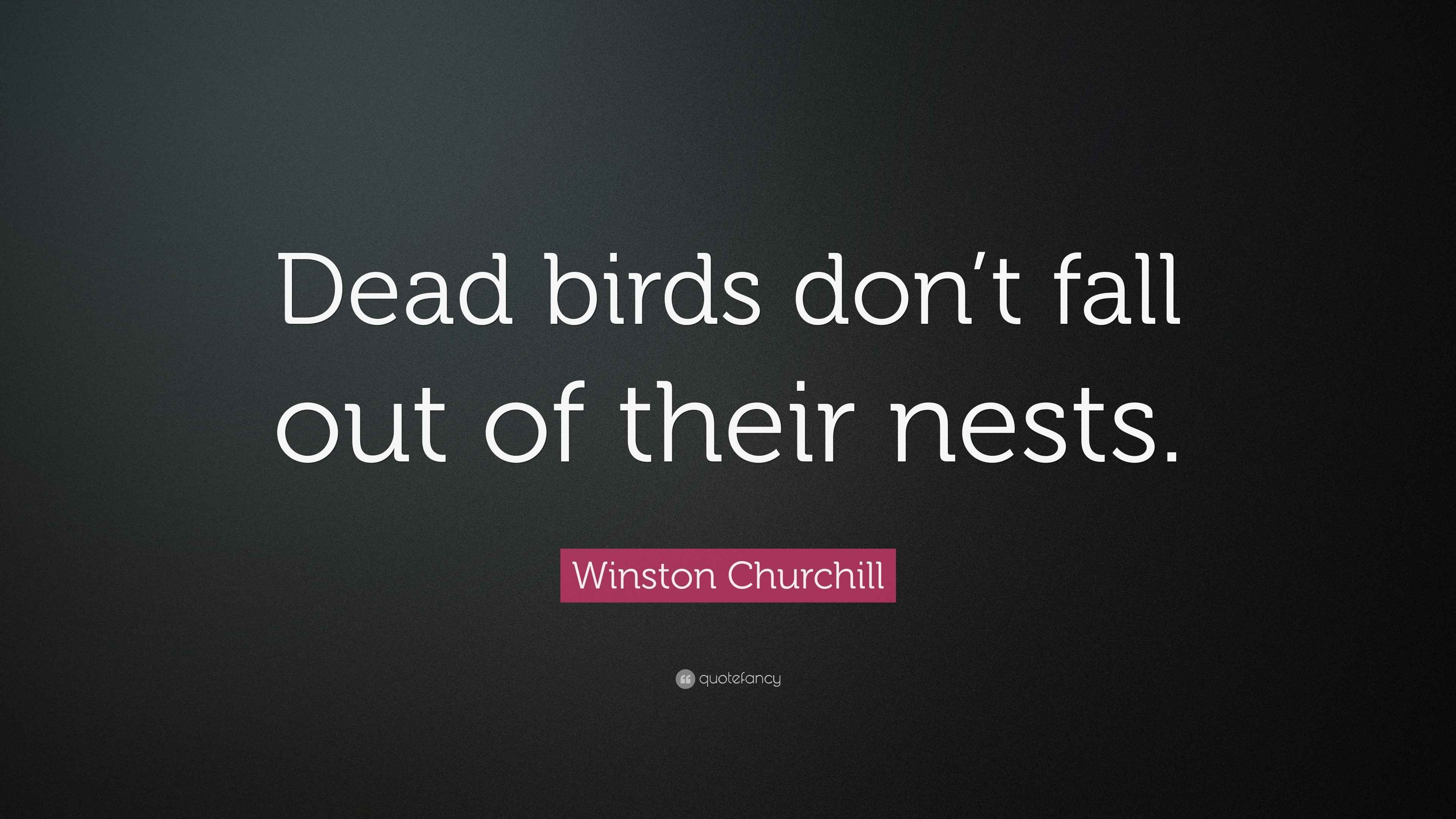 Winston Churchill Quote: “Dead birds don’t fall out of their nests.”