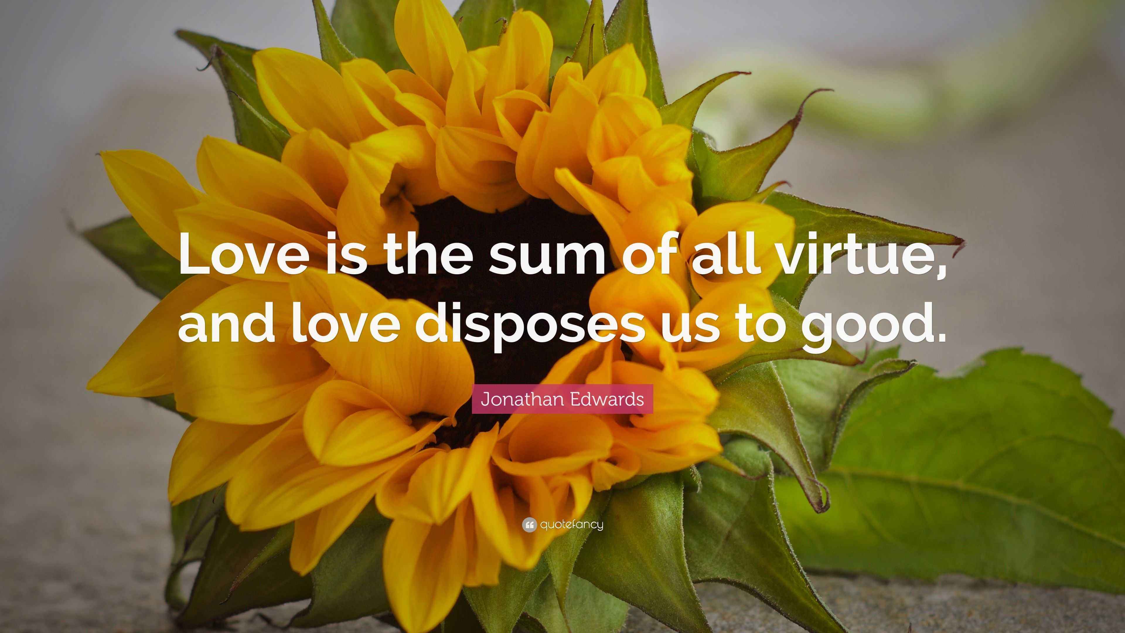 Jonathan Edwards Quote: “Love is the sum of all virtue, and love ...