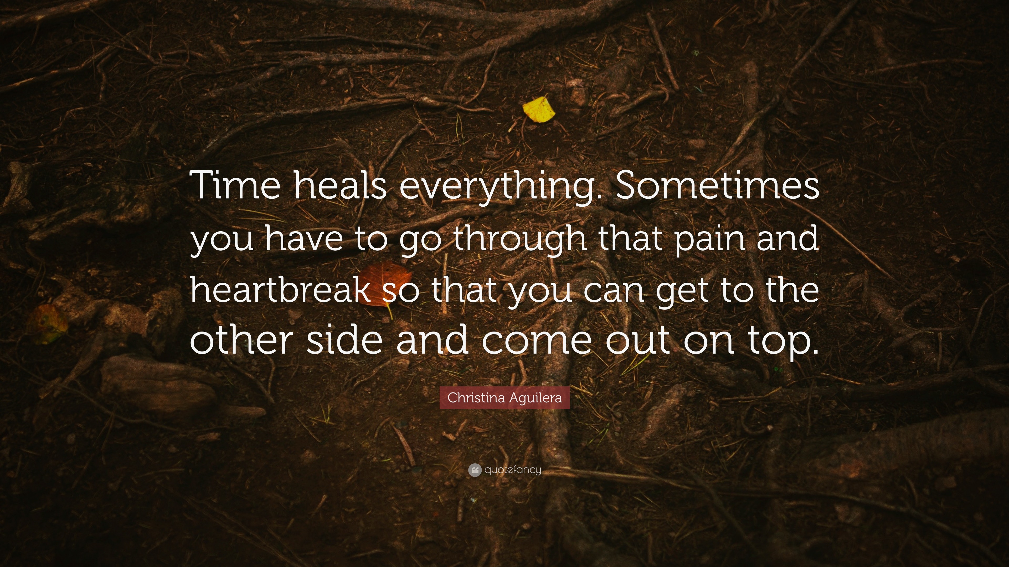 Healing Quotes Time Wallpaper Image Photo