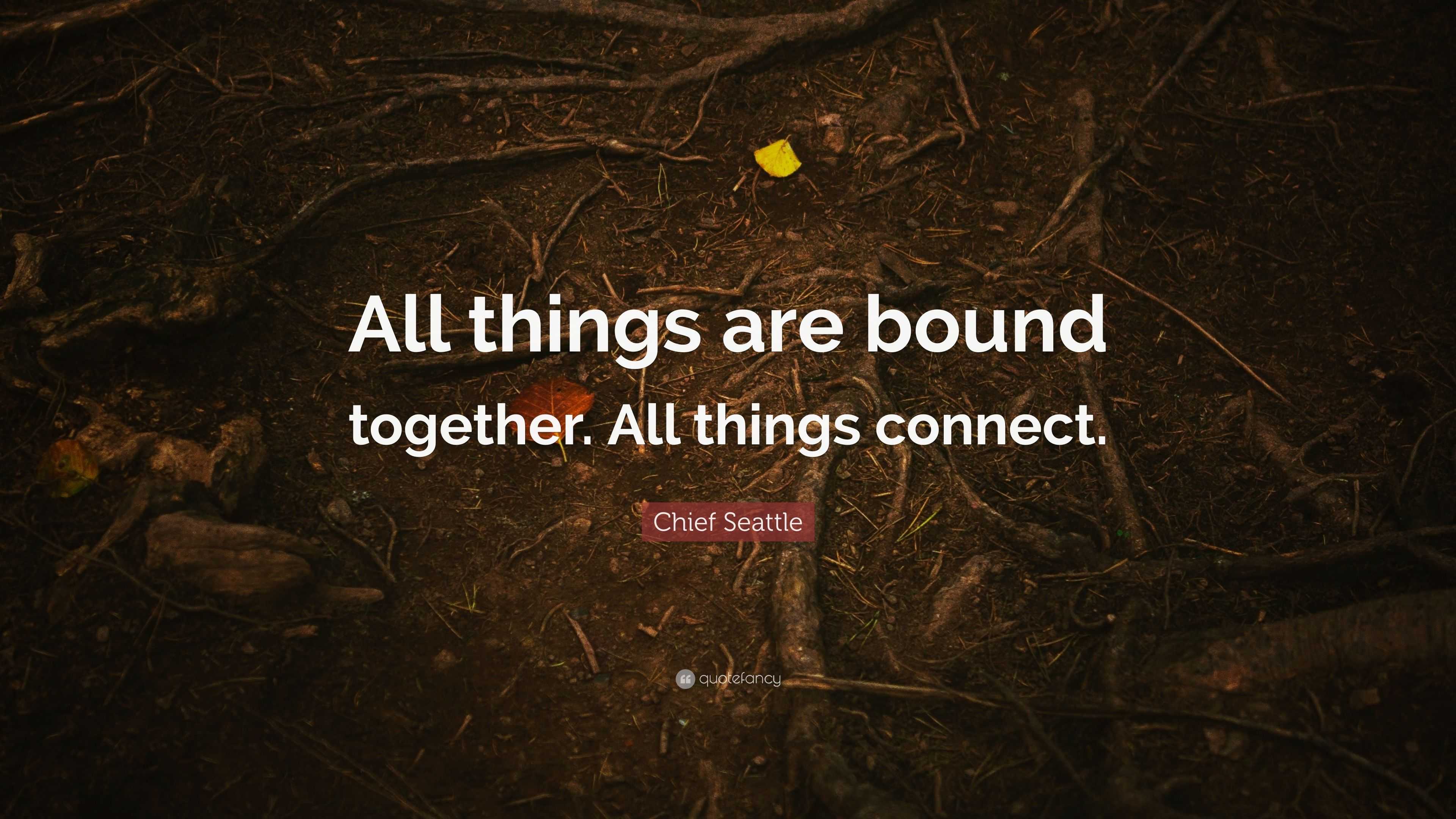 Chief Seattle Quote: “All things are bound together. All things connect.”