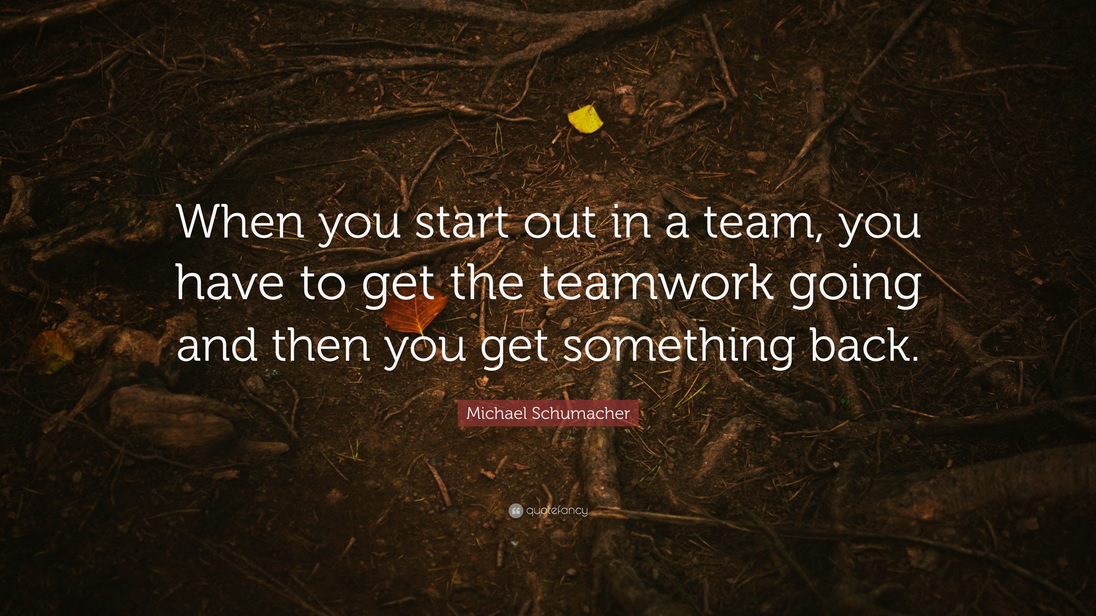 Michael Schumacher Quote: “When you start out in a team, you have to ...