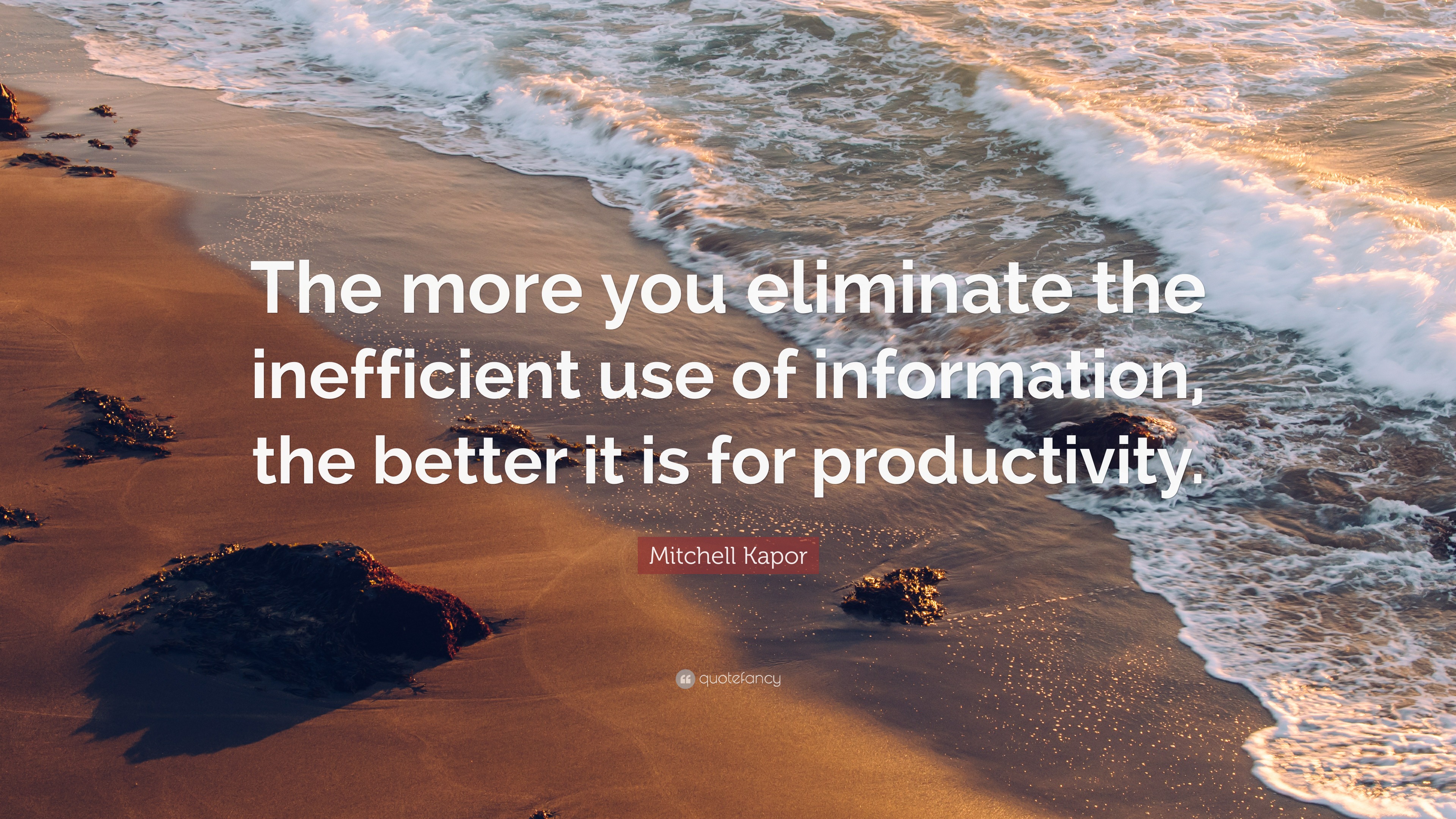 Mitchell Kapor Quote: “The more you eliminate the inefficient use of ...
