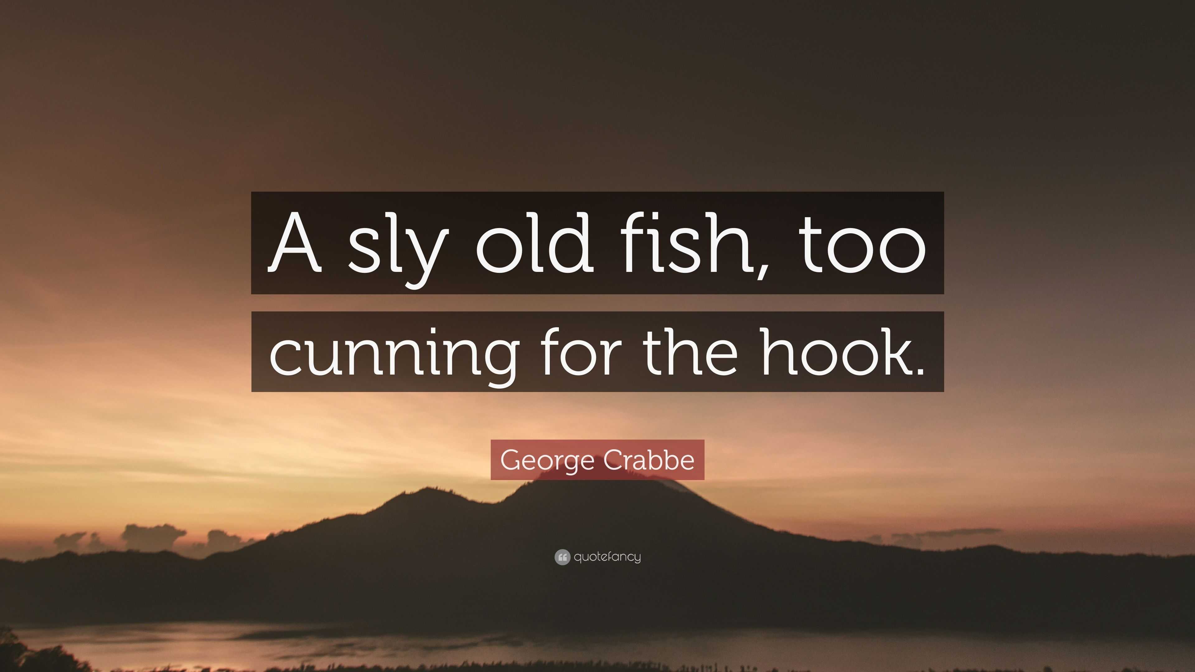 George Crabbe Quote: “A sly old fish, too cunning for the hook.”