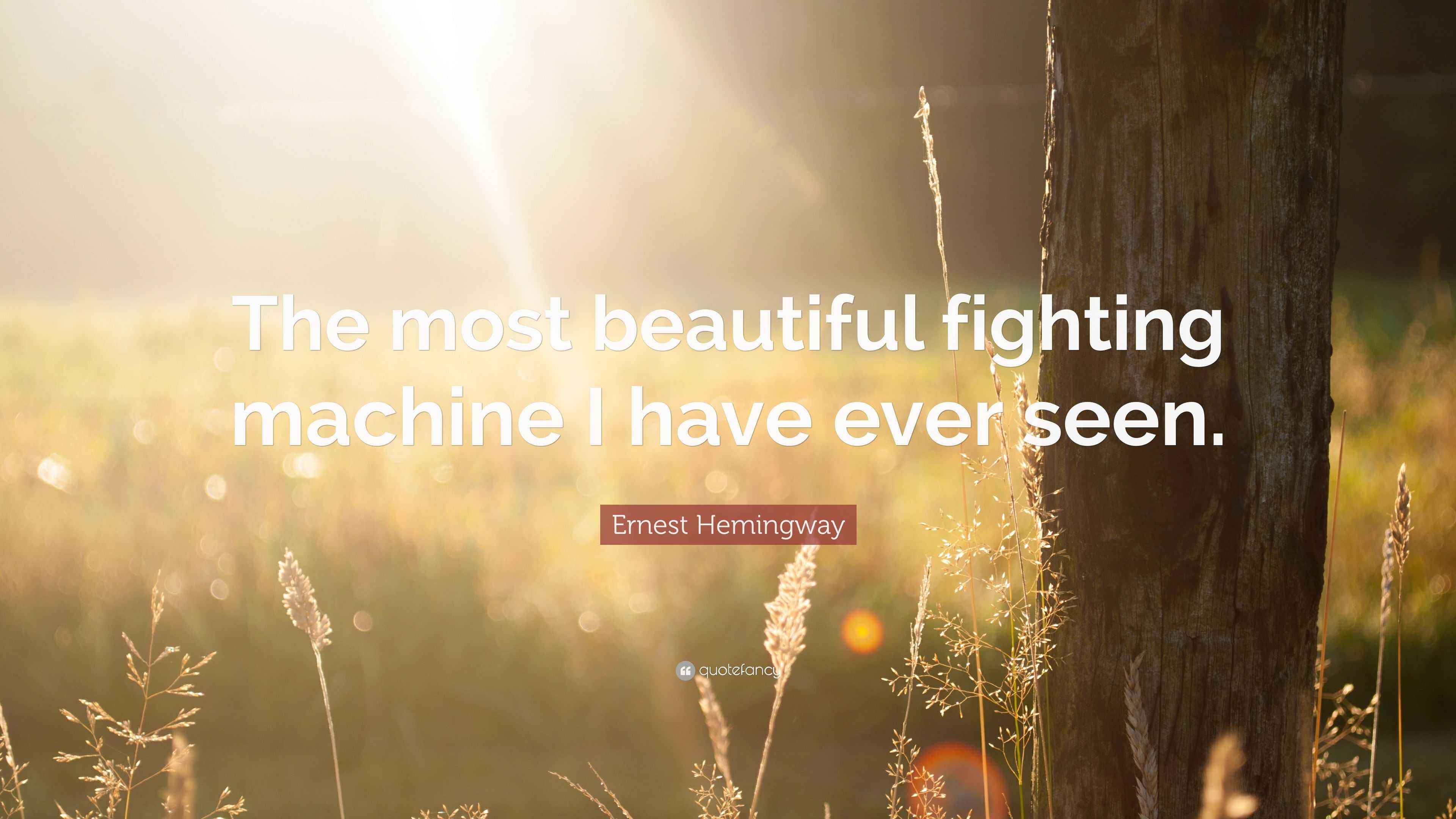 Ernest Hemingway Quote: “The most beautiful fighting machine I have ...