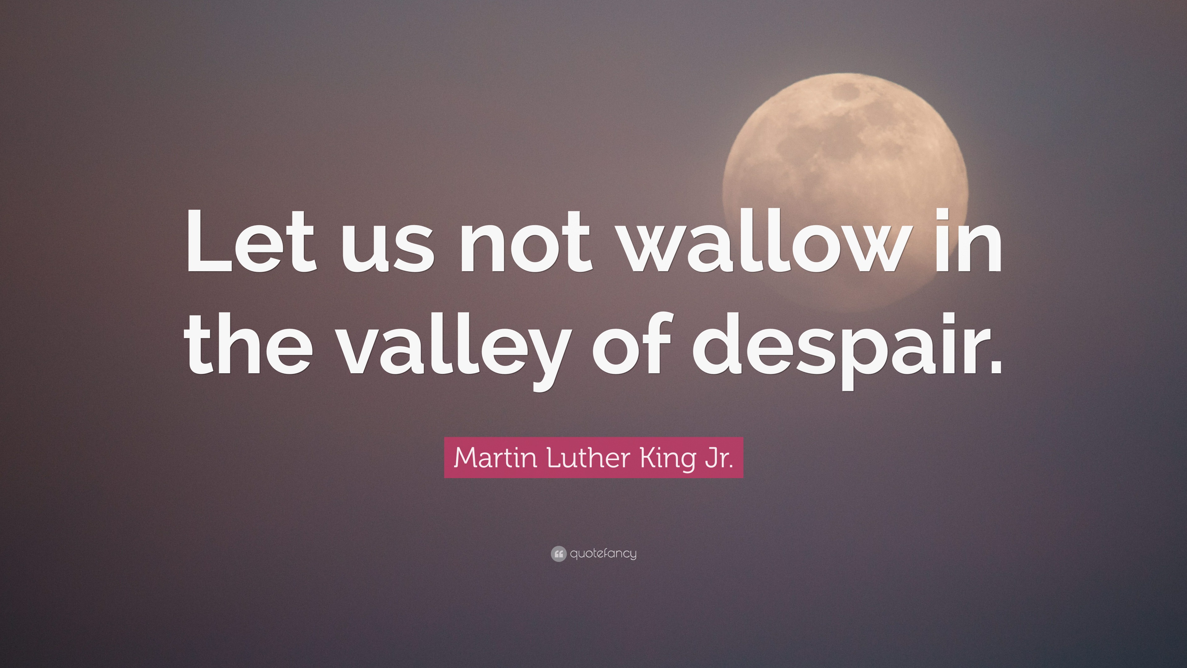 Martin Luther King Jr. Quote: “Let us not wallow in the valley of despair.”