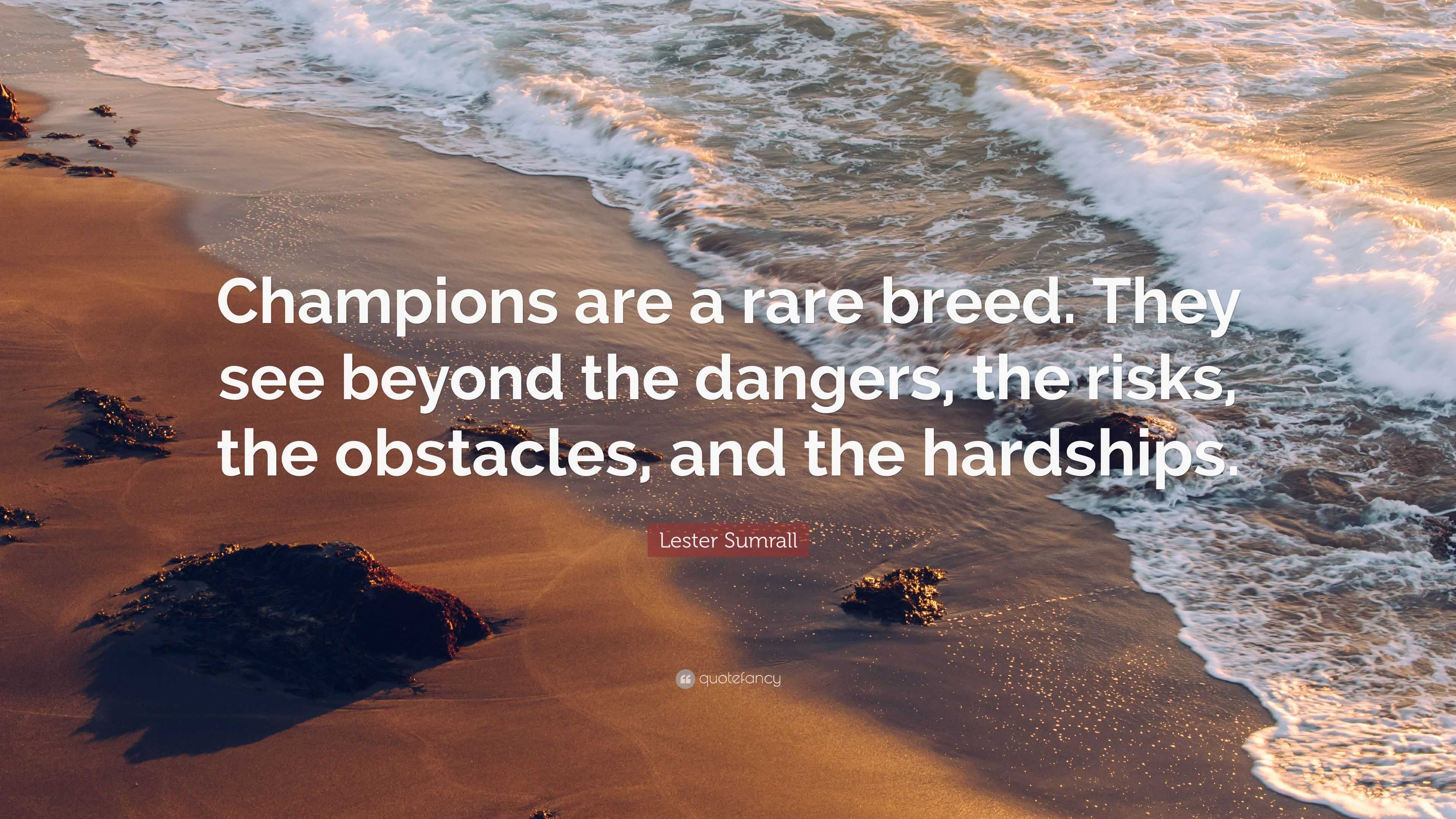Lester Sumrall Quote: “Champions are a rare breed. They see beyond the ...