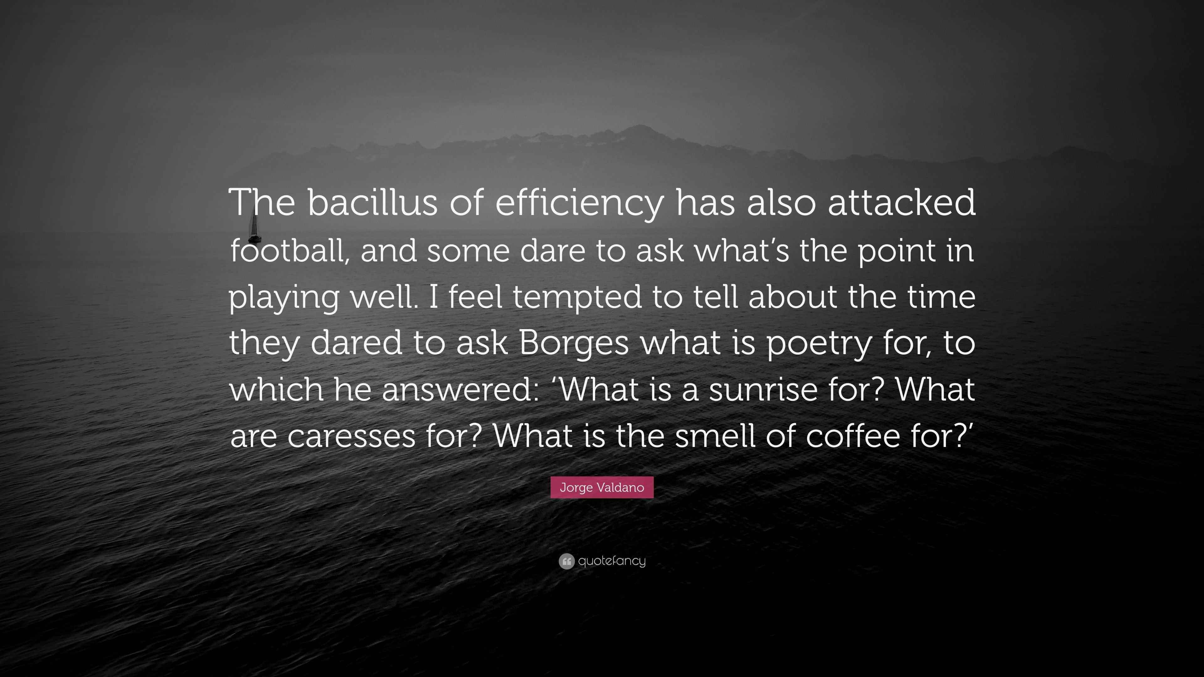 Jorge Valdano Quote: “The bacillus of efficiency has also attacked ...