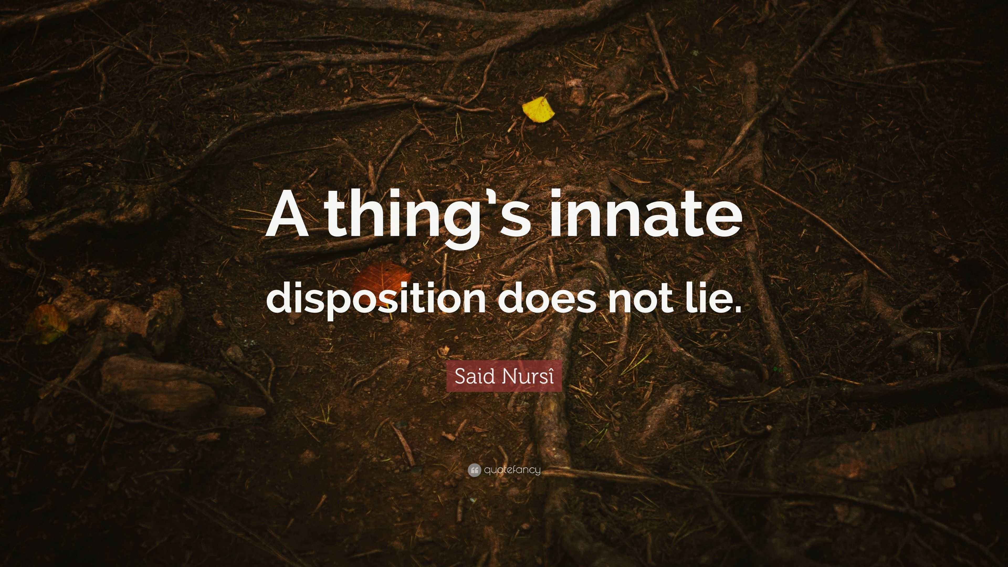 Said Nursî Quote: “A thing’s innate disposition does not lie.”