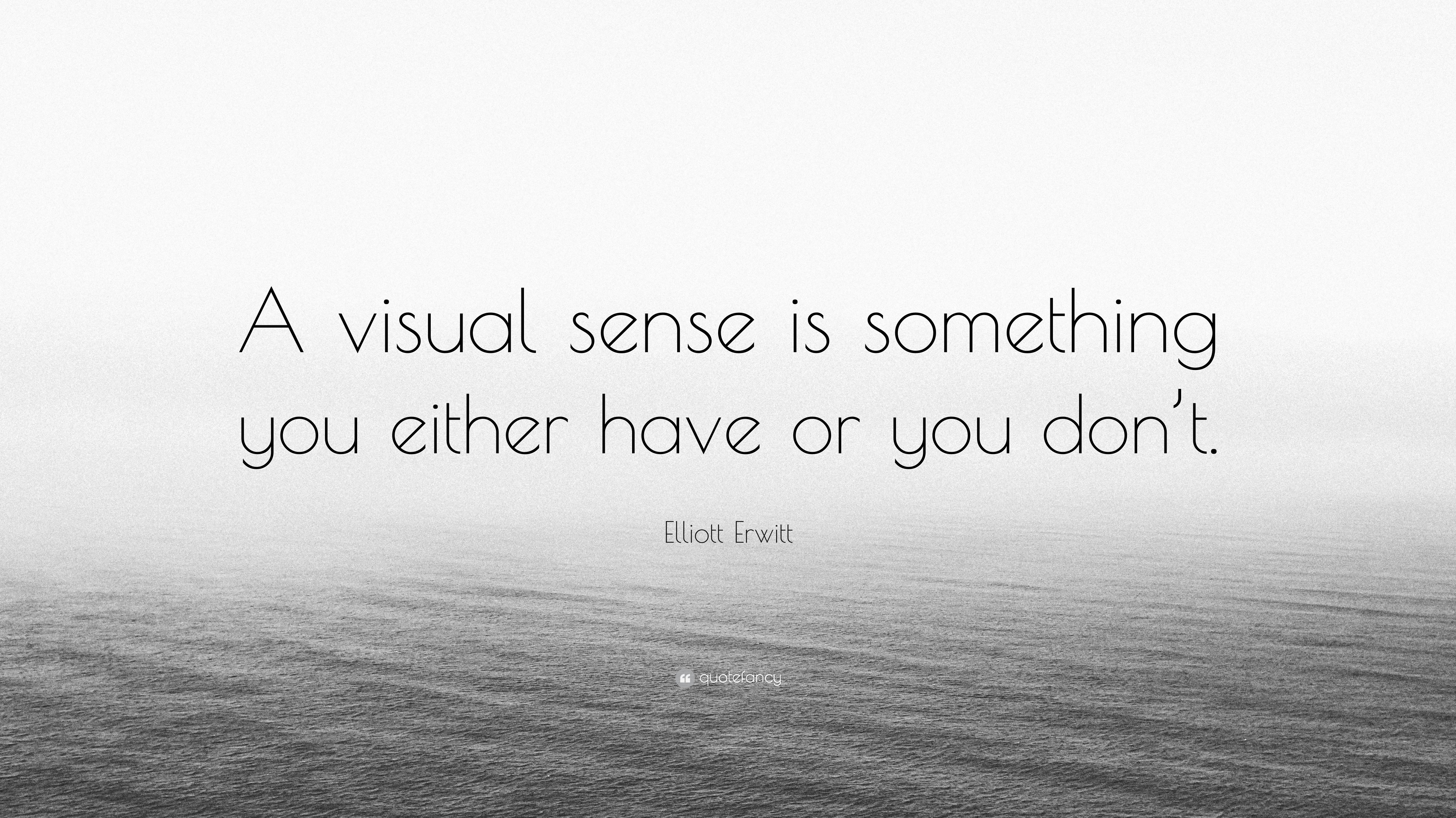 Elliott Erwitt Quote: “A visual sense is something you either have or ...
