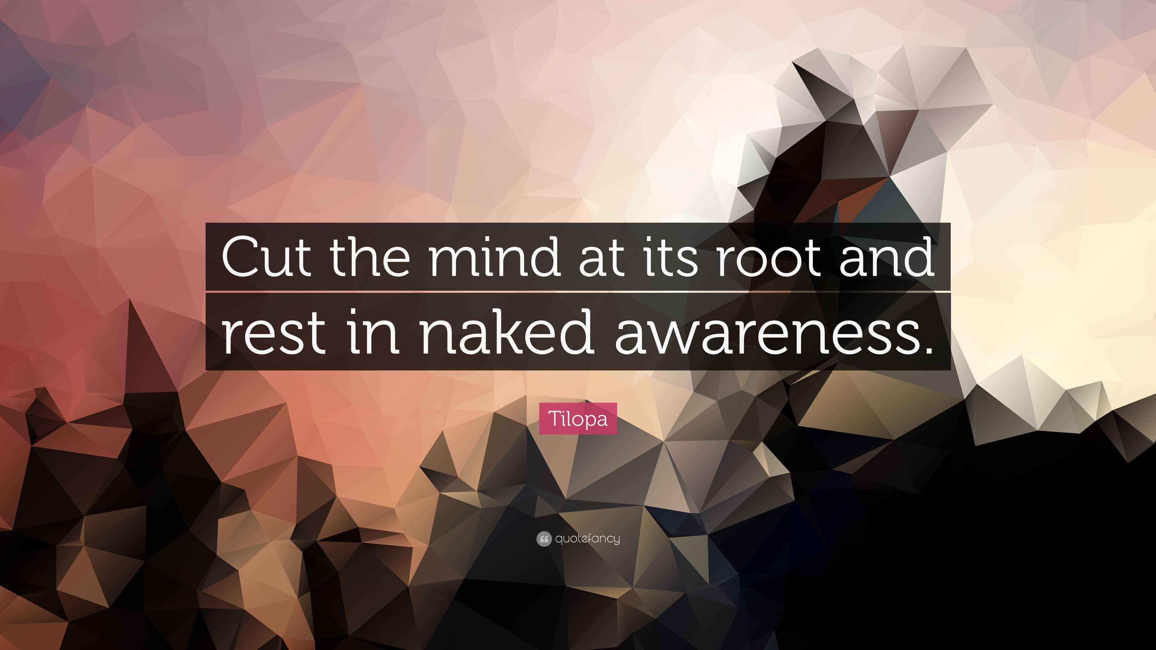 Tilopa Quote: “Cut the mind at its root and rest in naked awareness.”
