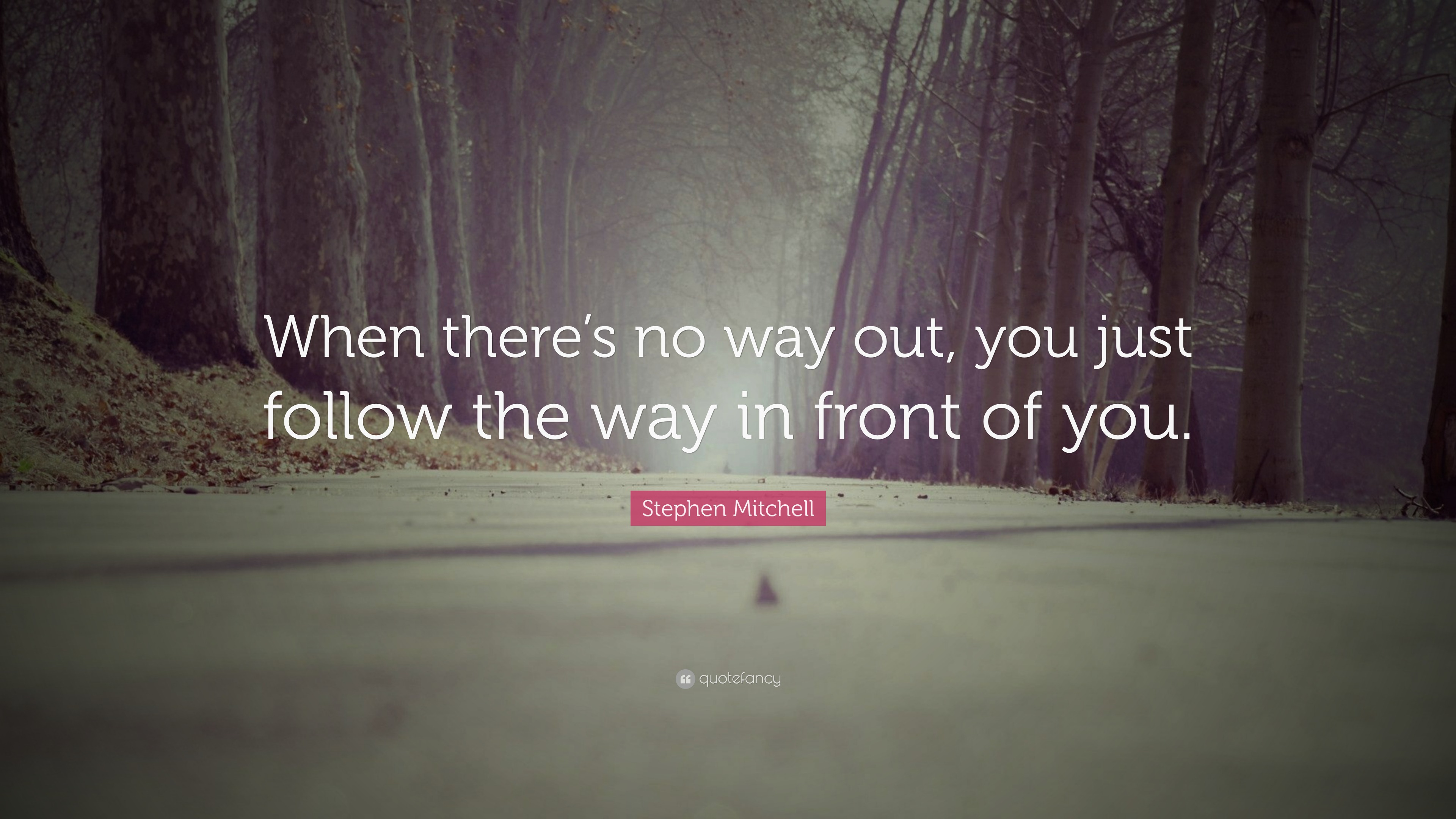 Stephen Mitchell Quote: “When there’s no way out, you just follow the ...