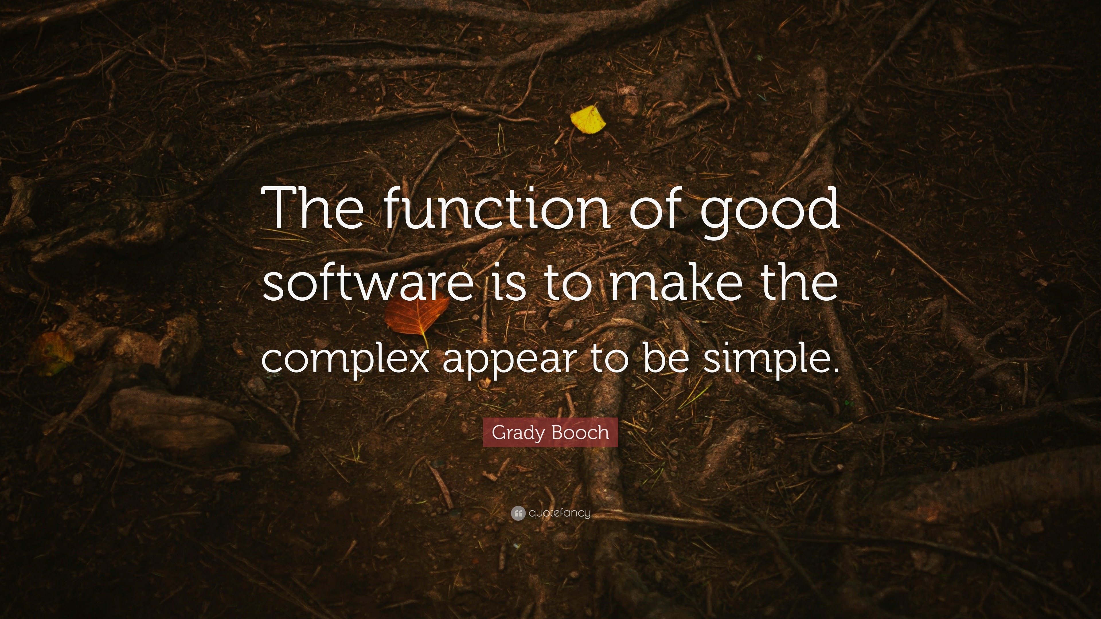 Grady Booch Quote: “The function of good software is to make the ...