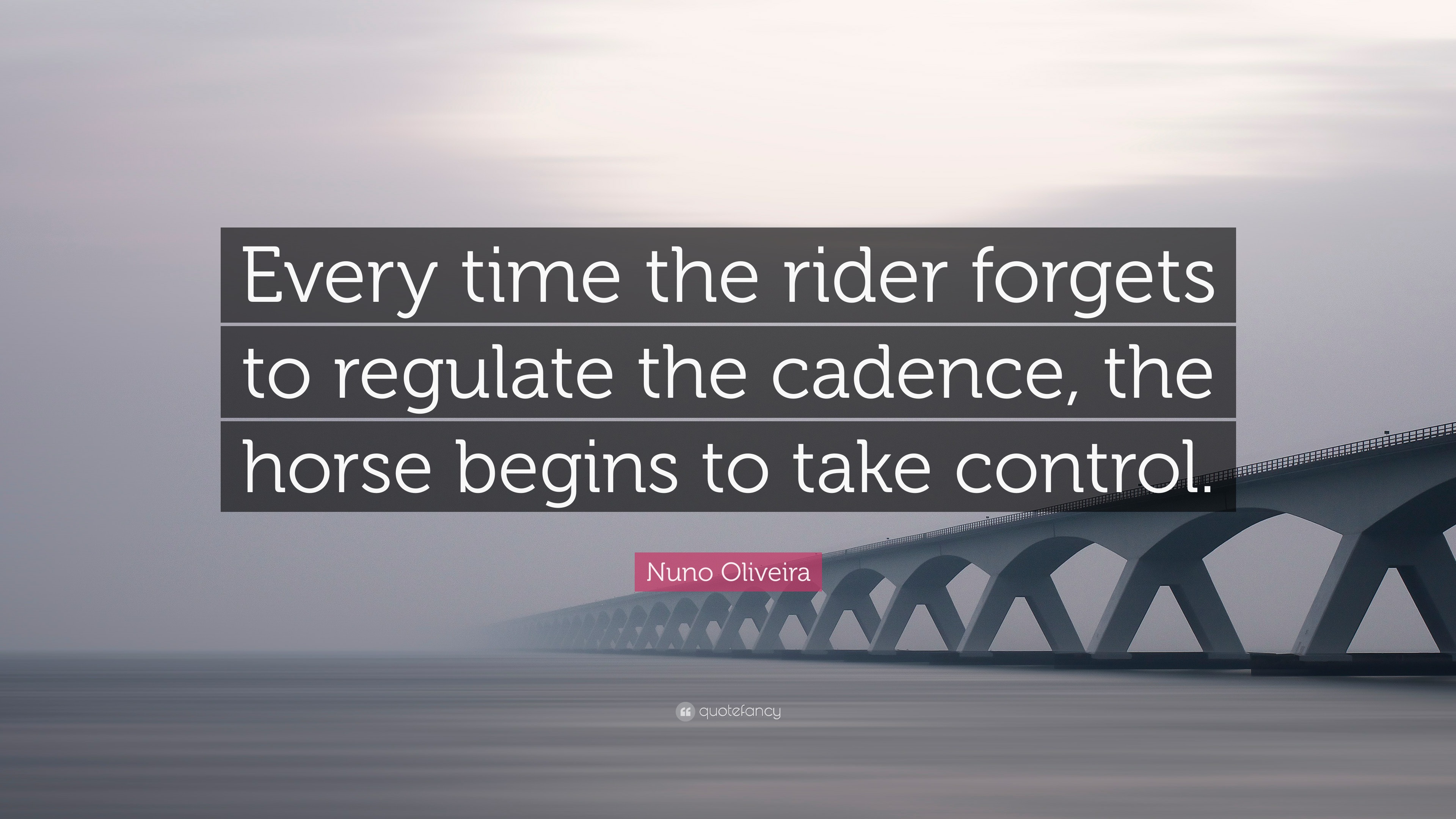 Nuno Oliveira Quote: “Every time the rider forgets to regulate the ...
