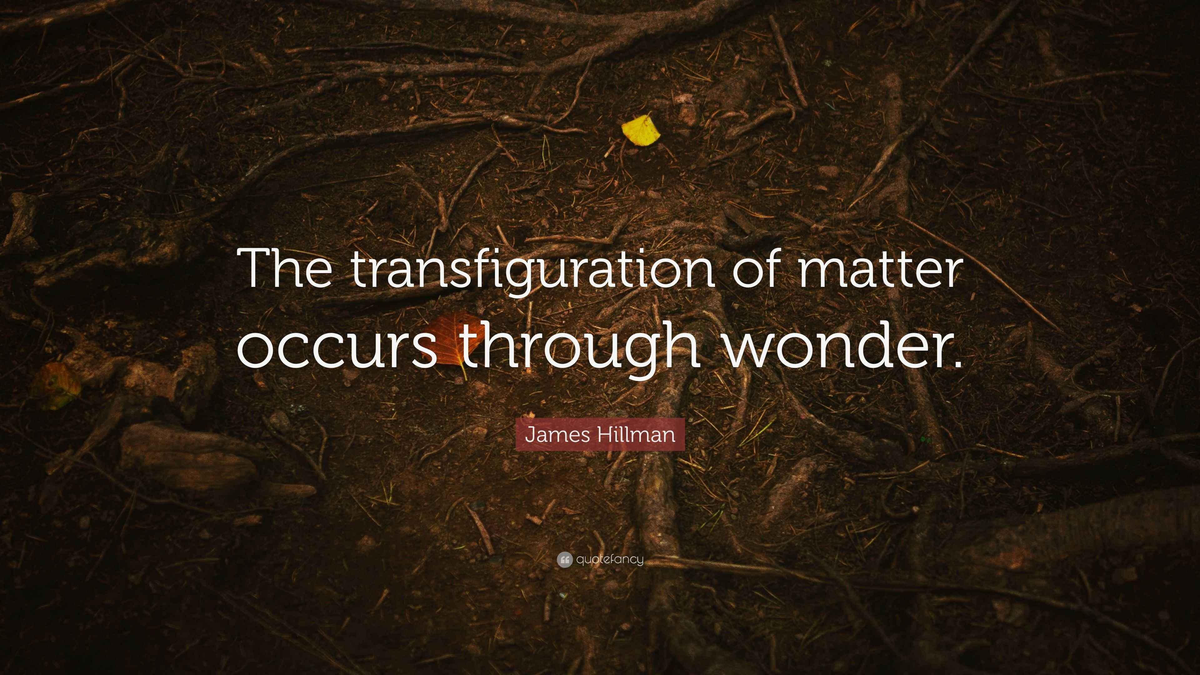 James Hillman Quote: “The transfiguration of matter occurs through wonder.”