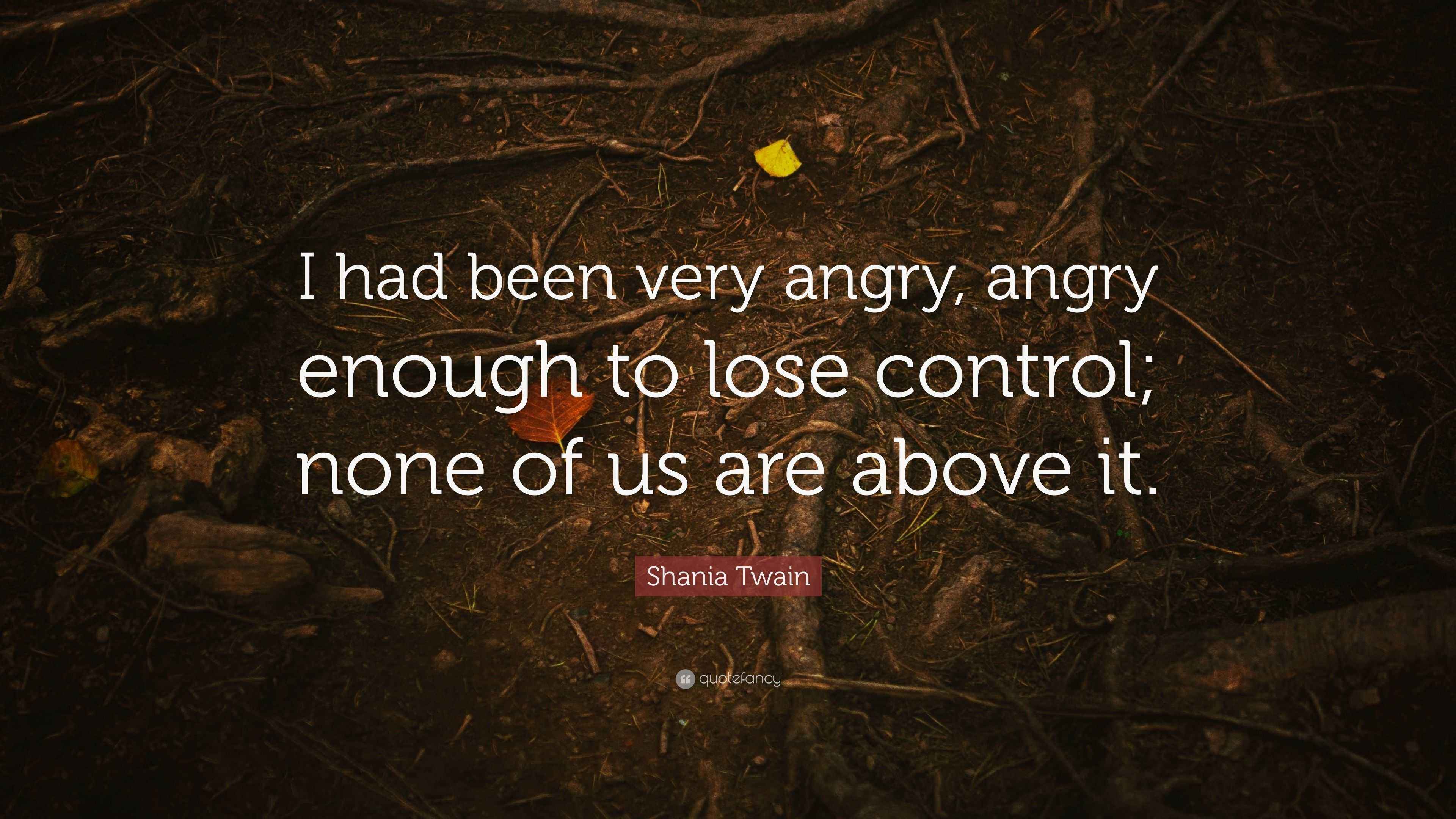 Shania Twain Quote: “I had been very angry, angry enough to lose ...