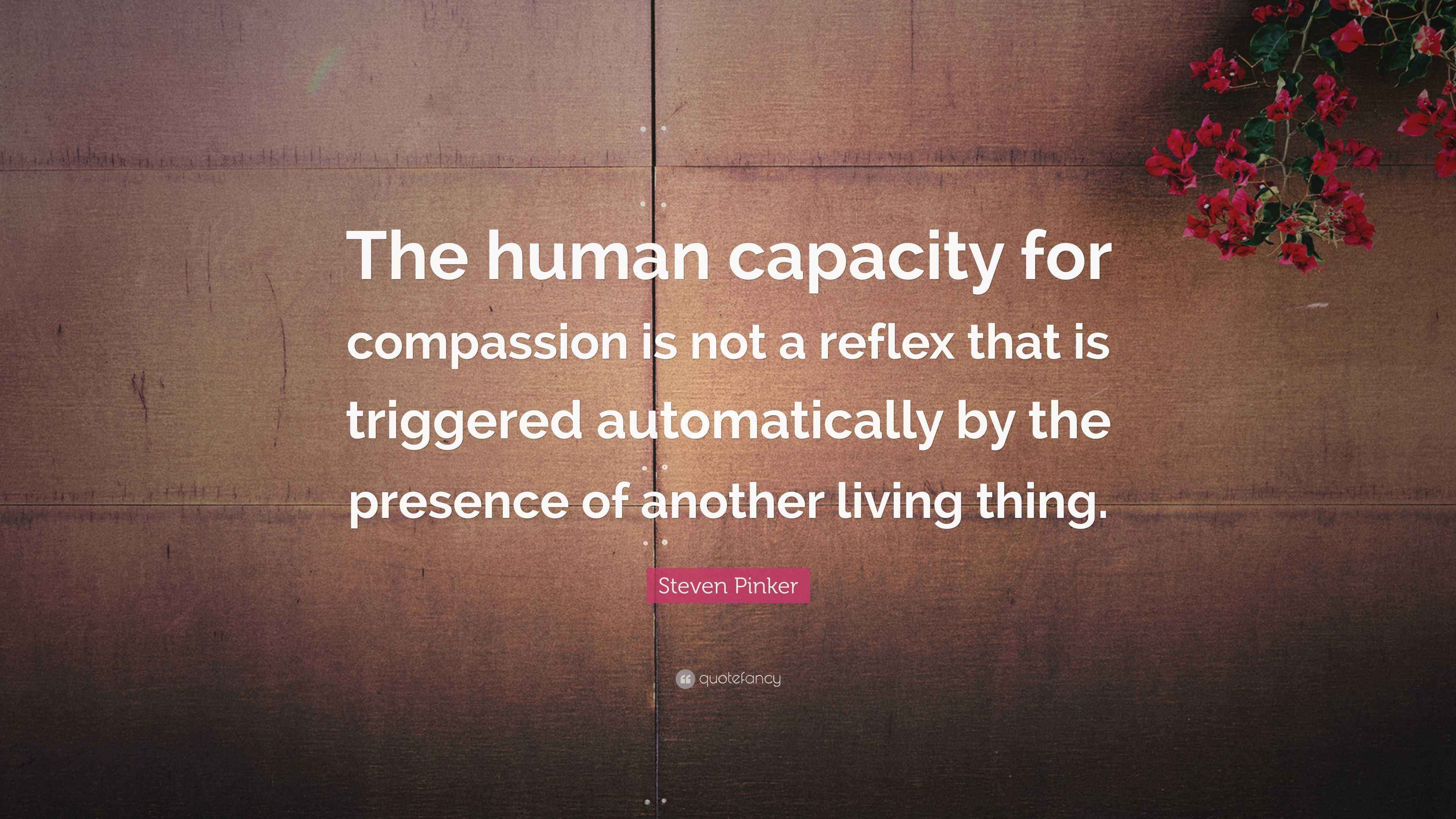 Steven Pinker Quote: “The human capacity for compassion is not a reflex ...