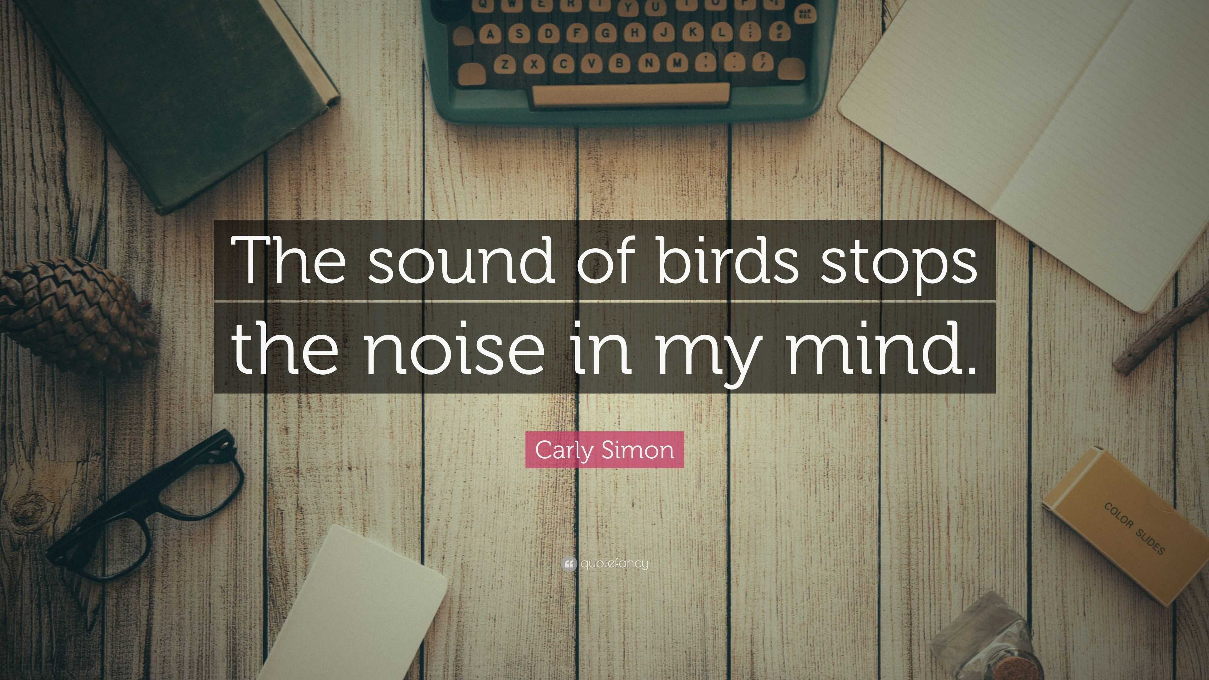 Carly Simon Quote: “The sound of birds stops the noise in my mind.”