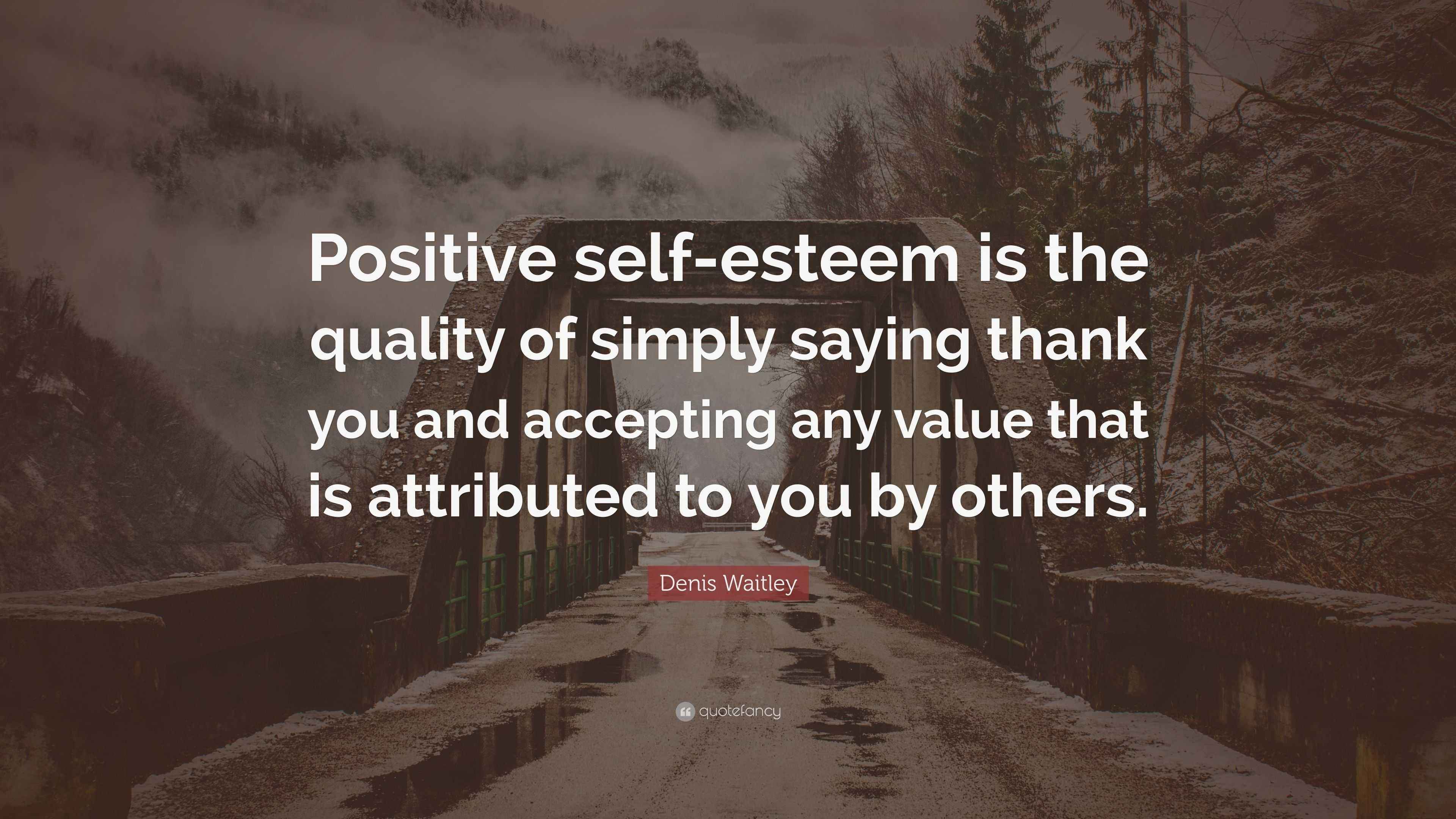 Denis Waitley Quote: “Positive self-esteem is the quality of simply ...