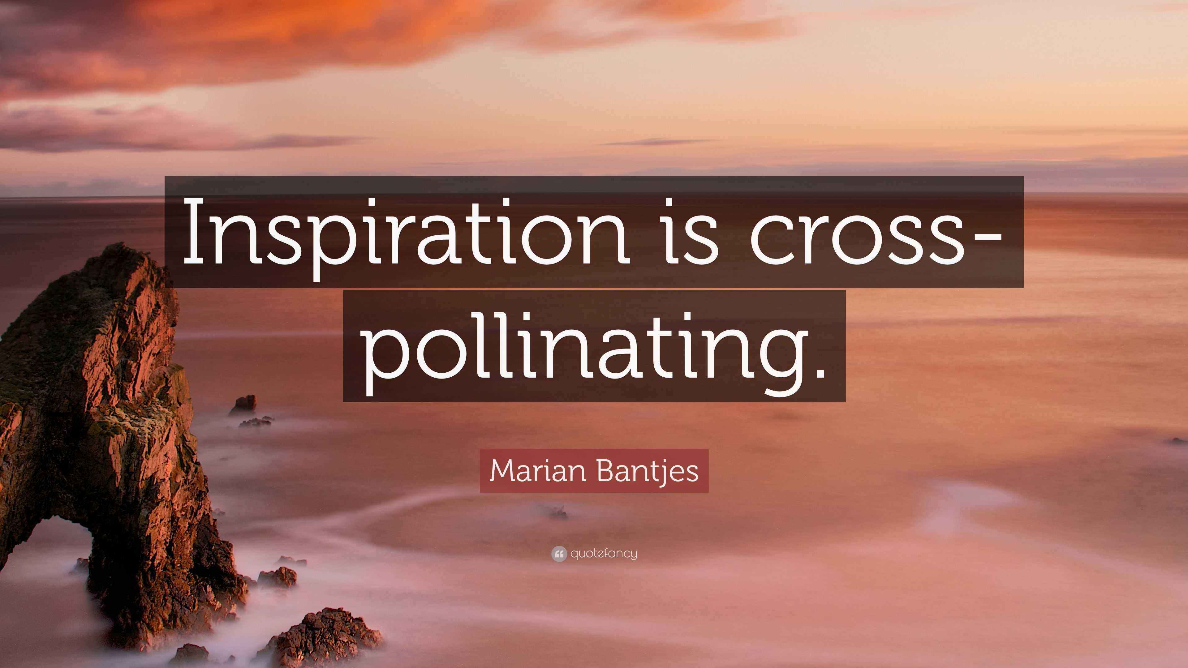 Marian Bantjes Quote: “Inspiration is cross-pollinating.”