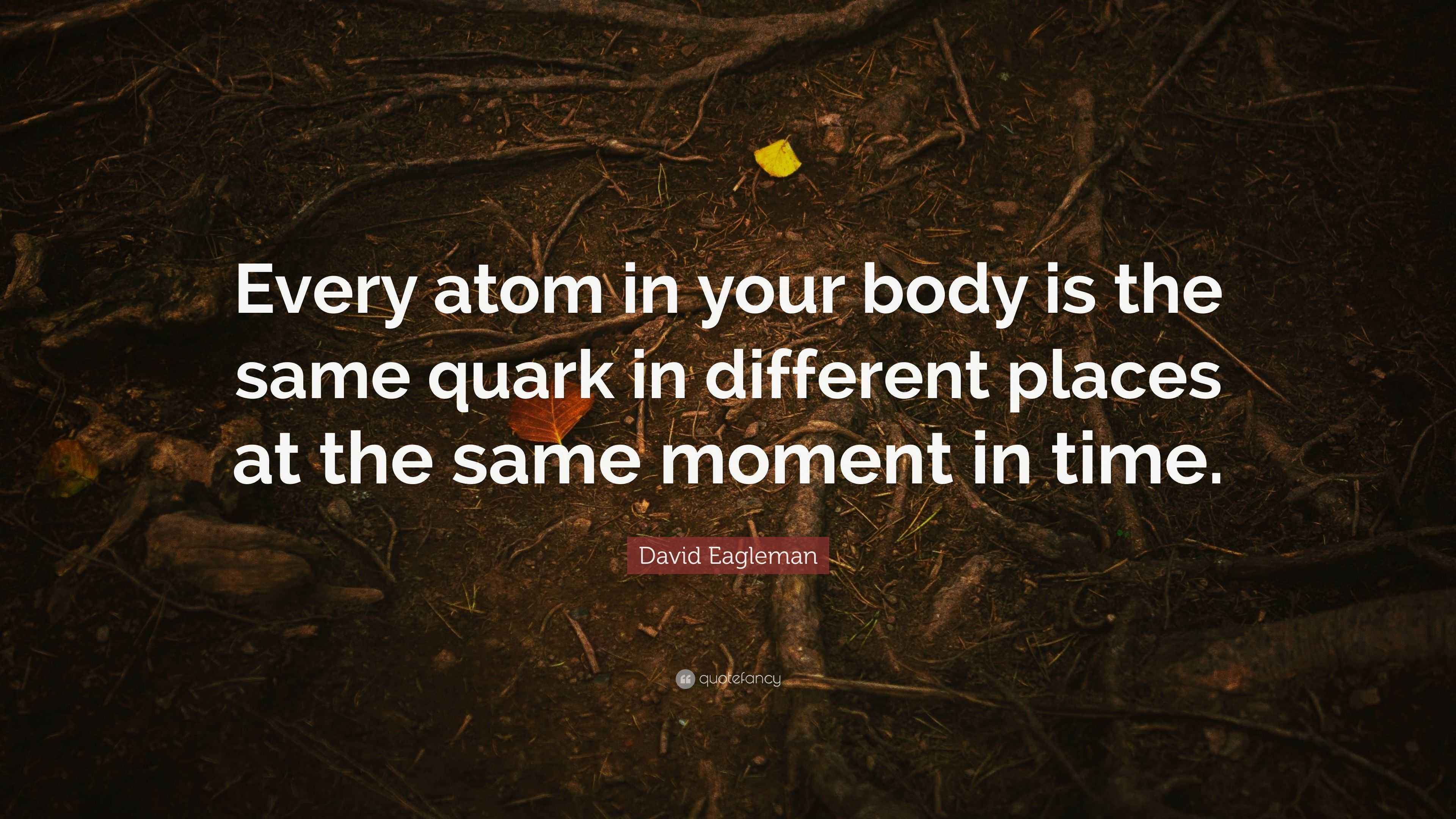 David Eagleman Quote: “Every atom in your body is the same quark in ...