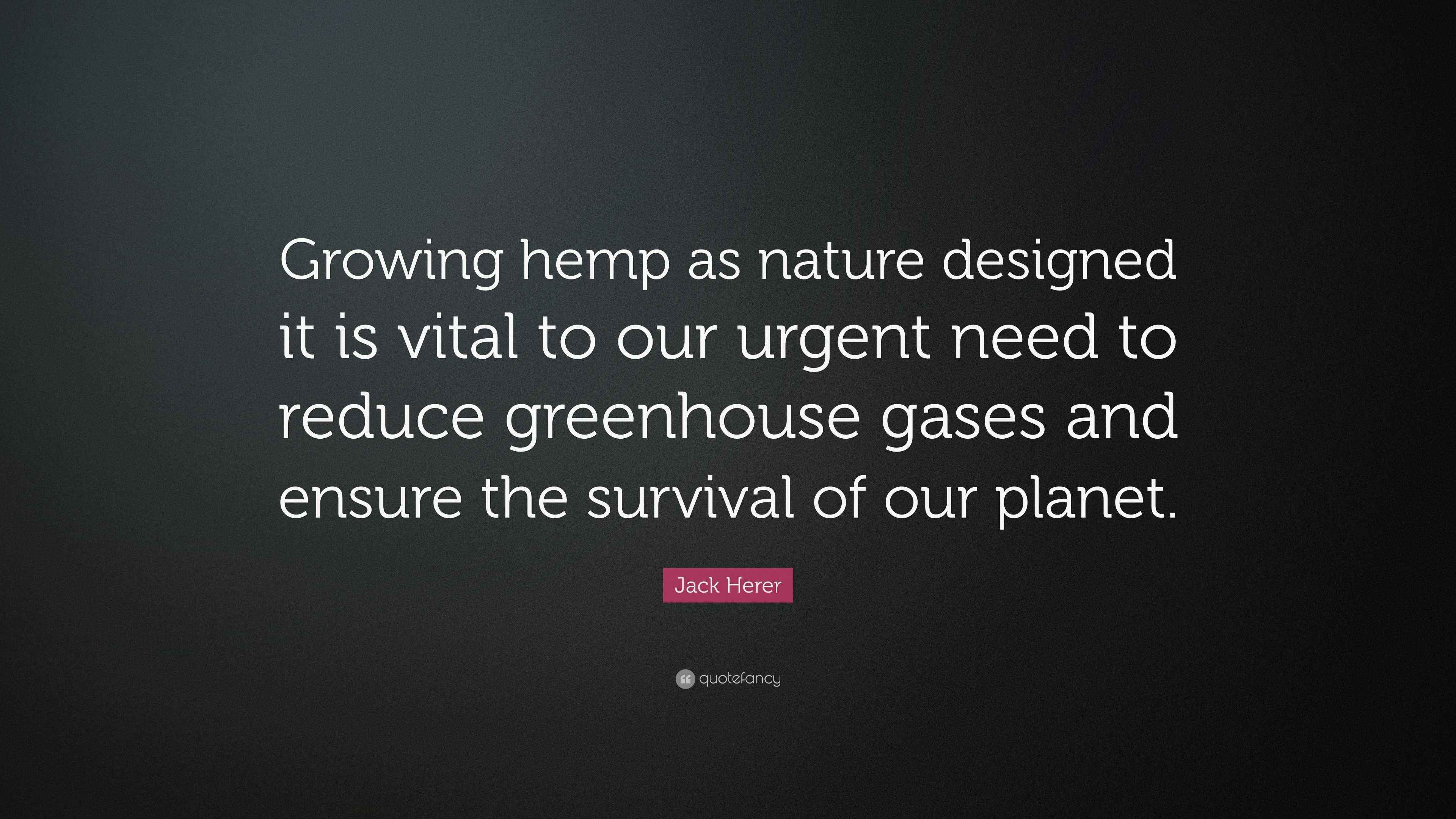 Jack Herer Quote: “Growing hemp as nature designed it is vital to our ...