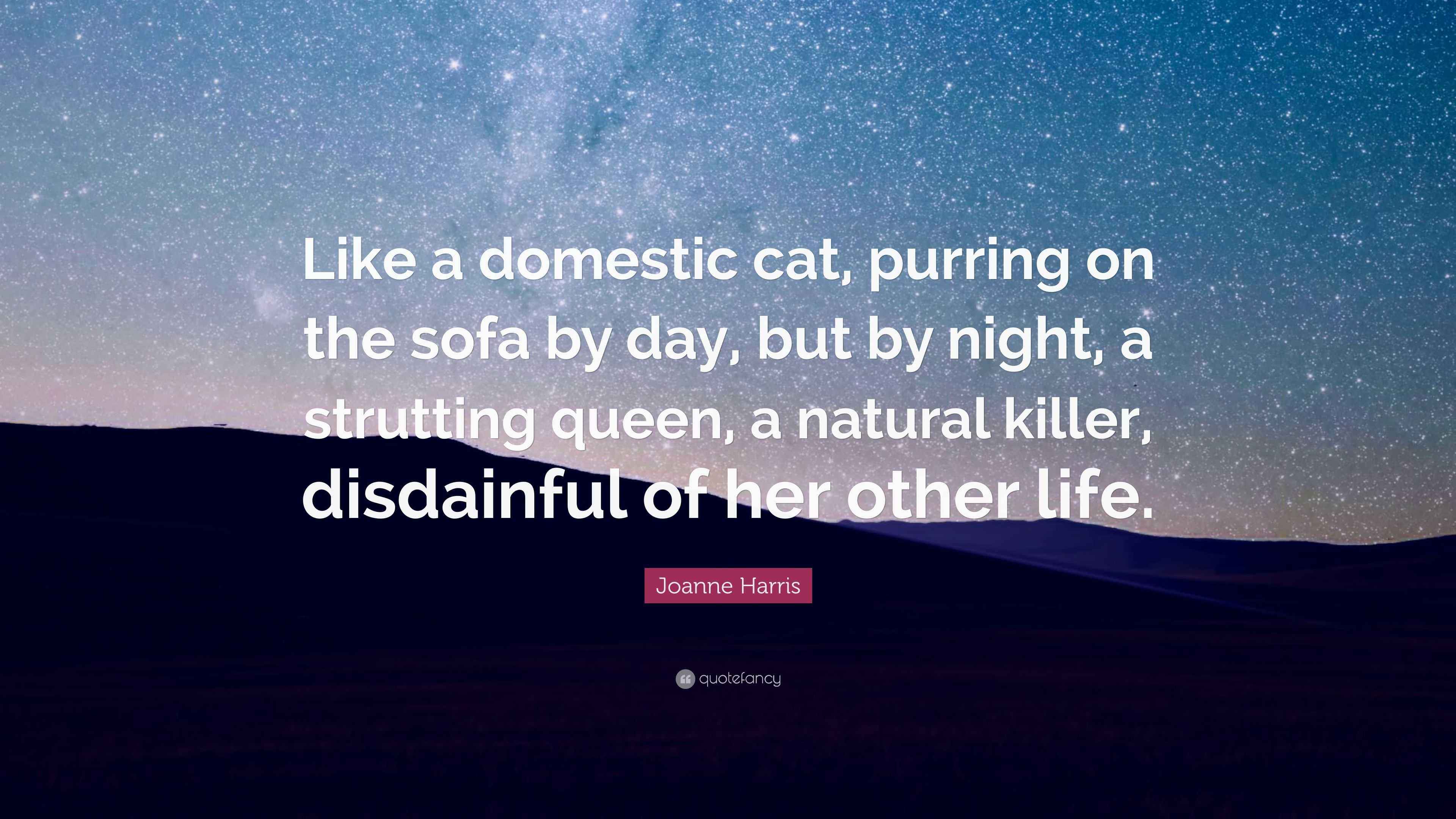 Joanne Harris Quote: “Like a domestic cat, purring on the sofa by day ...