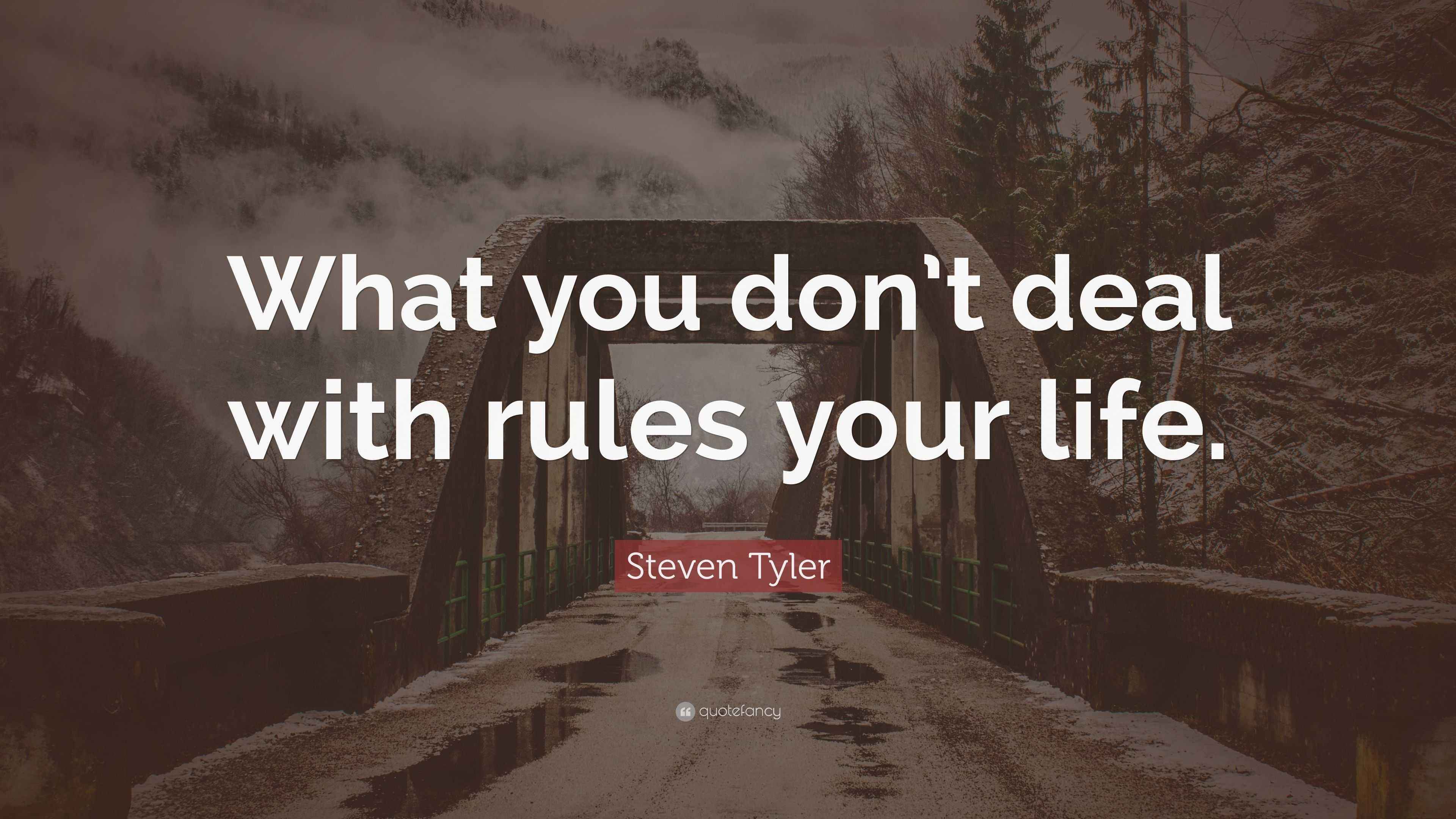 Steven Tyler Quote: “What you don’t deal with rules your life.”