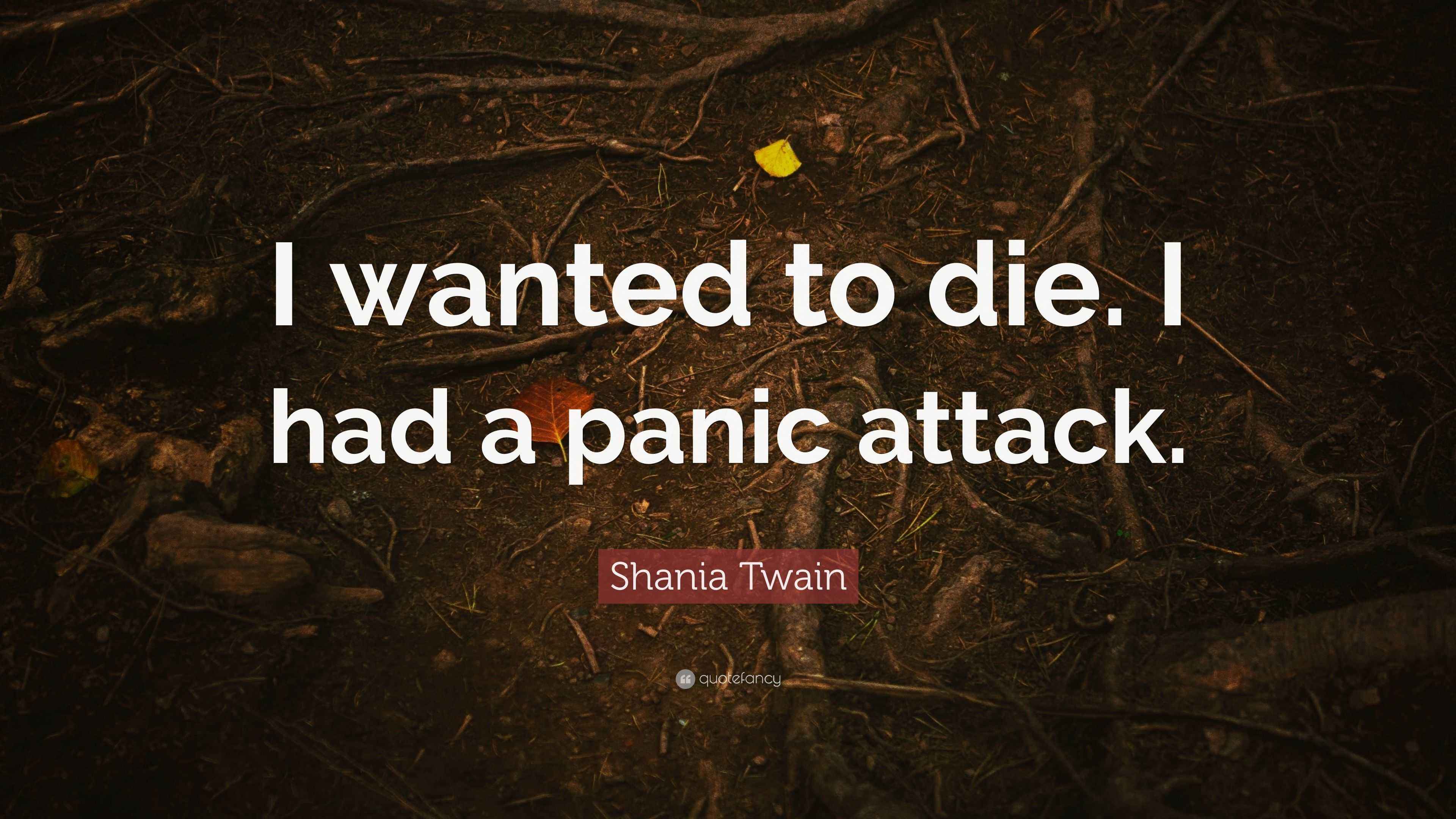 Shania Twain Quote: “I wanted to die. I had a panic attack.”