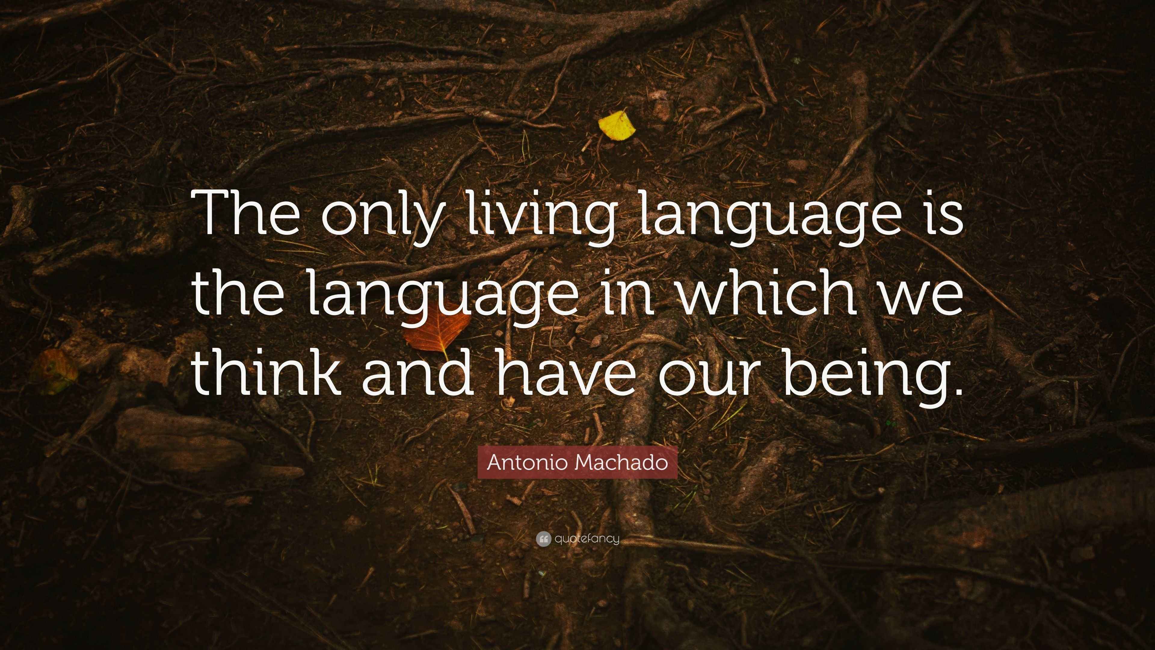 Antonio Machado Quote: “The only living language is the language in ...