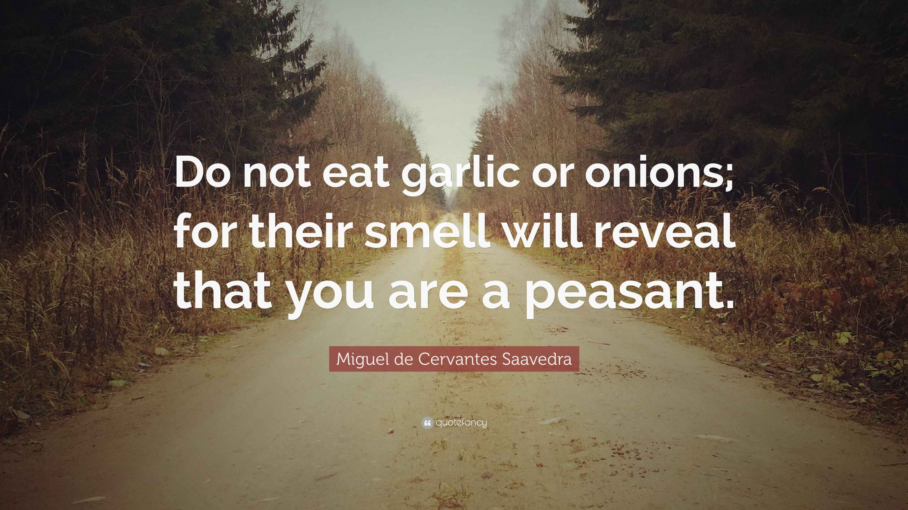 Miguel de Cervantes Saavedra Quote: “Do not eat garlic or onions; for ...