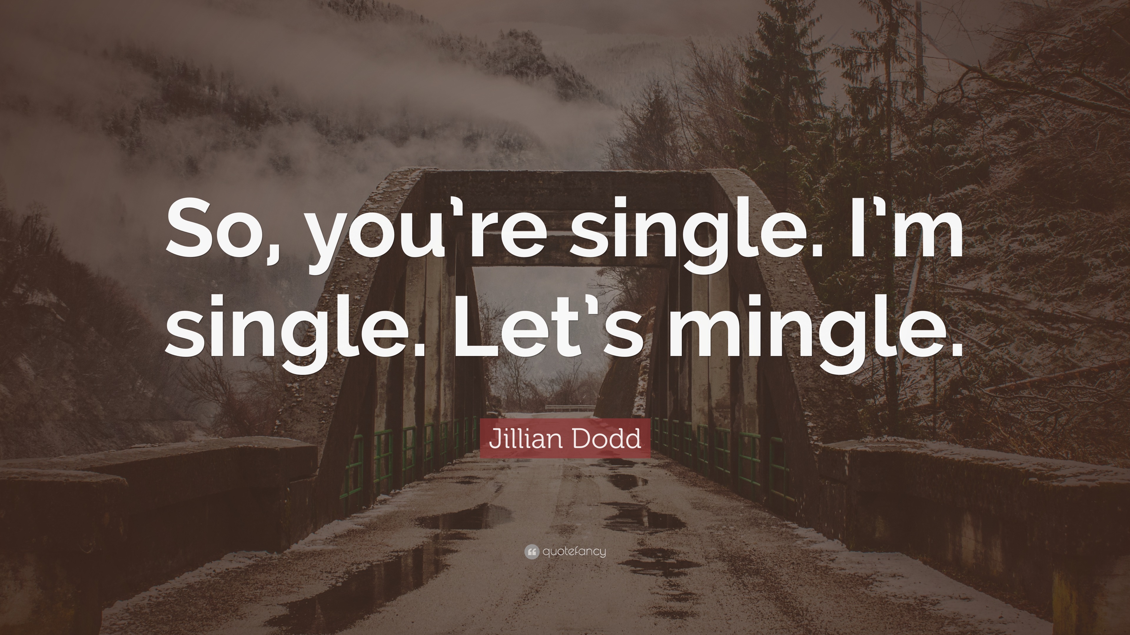 Jillian Dodd Quote: “So, you’re single. I’m single. Let’s mingle.”