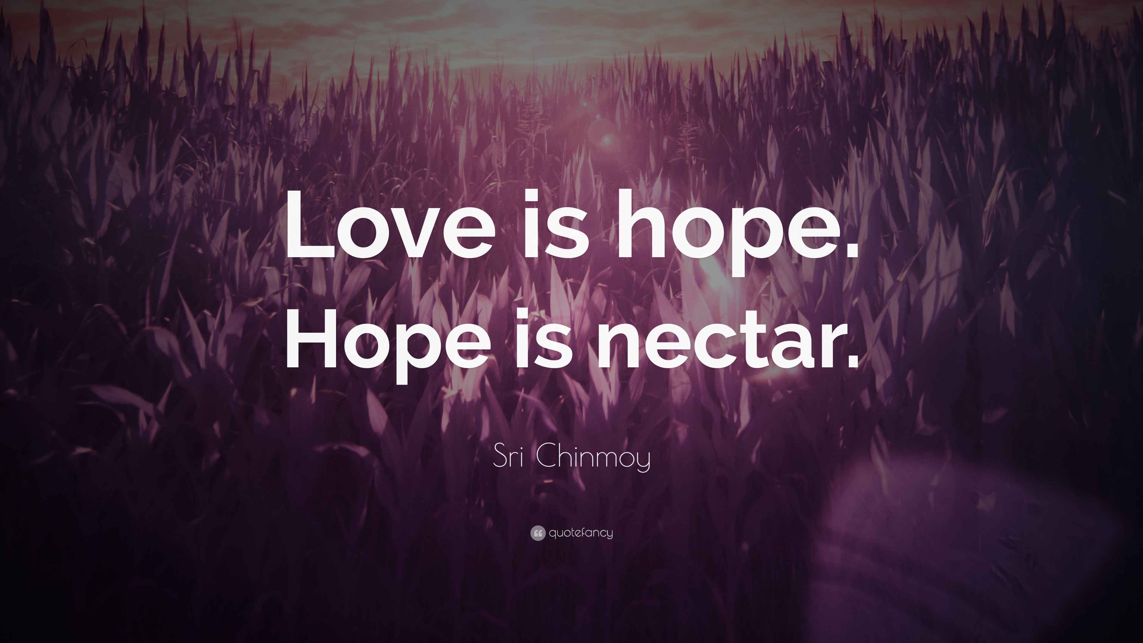 Sri Chinmoy Quote: “Love is hope. Hope is nectar.”