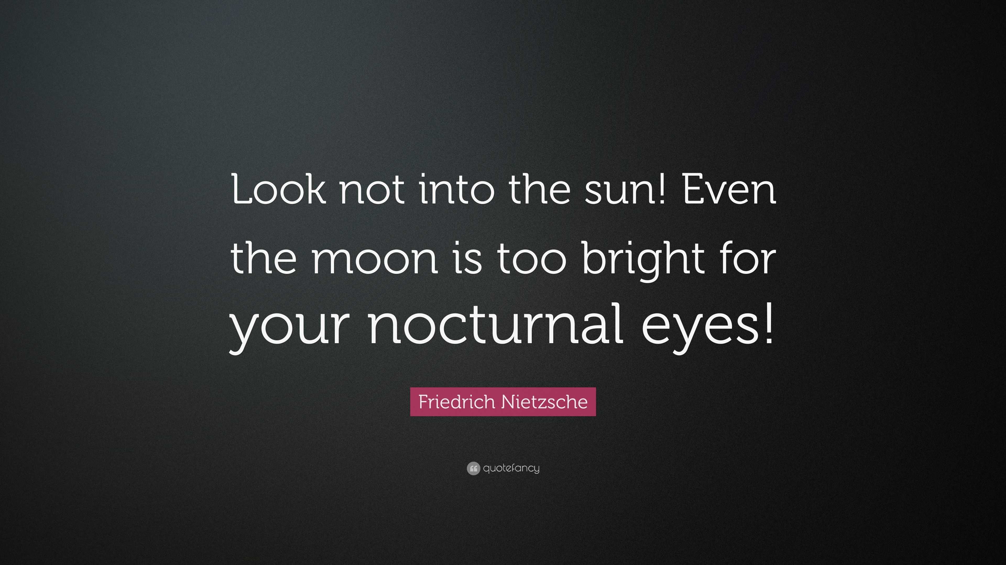 Friedrich Nietzsche Quote: “Look not into the sun! Even the moon is too ...