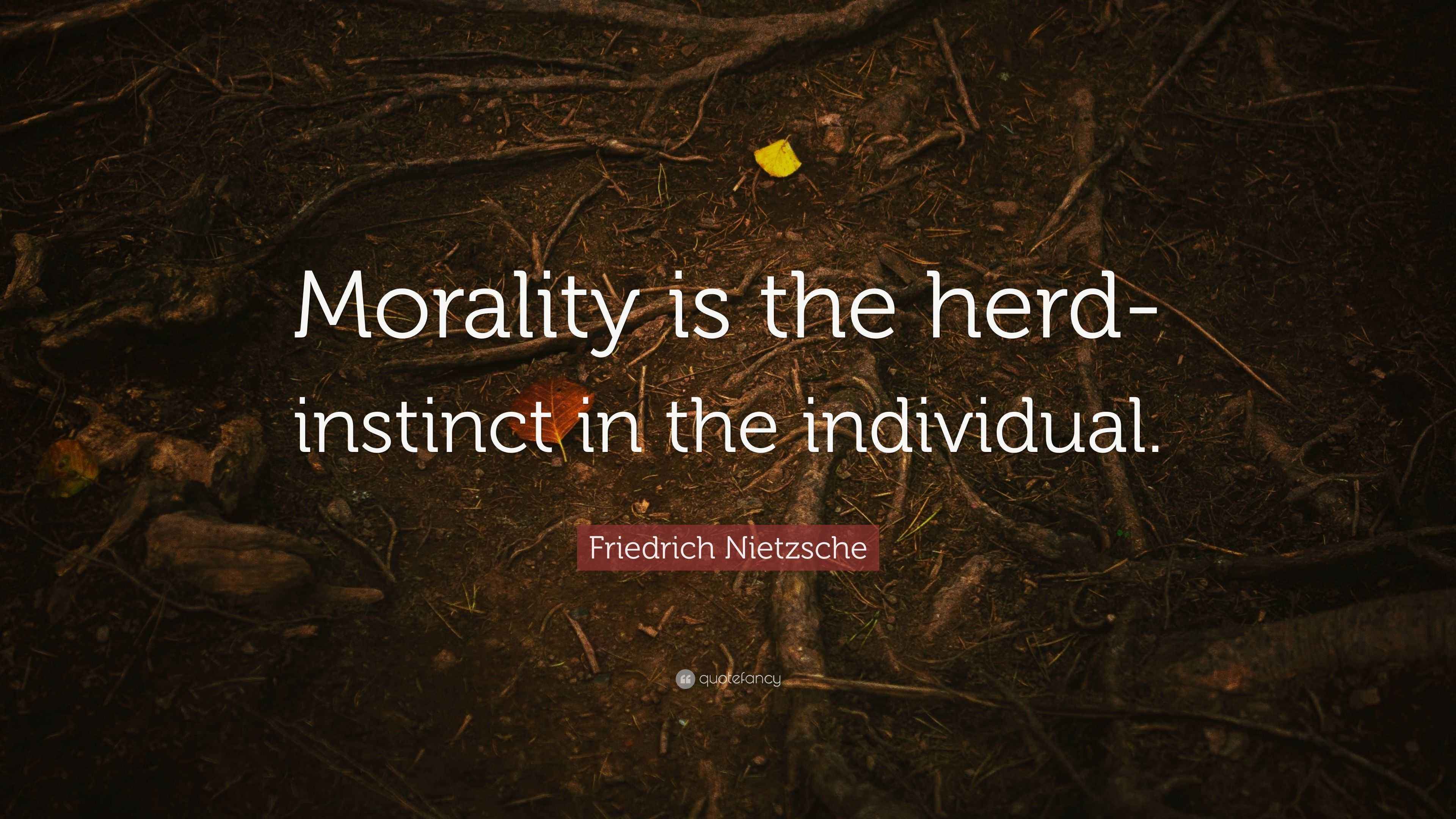 Friedrich Nietzsche Quote: “Morality is the herd-instinct in the ...