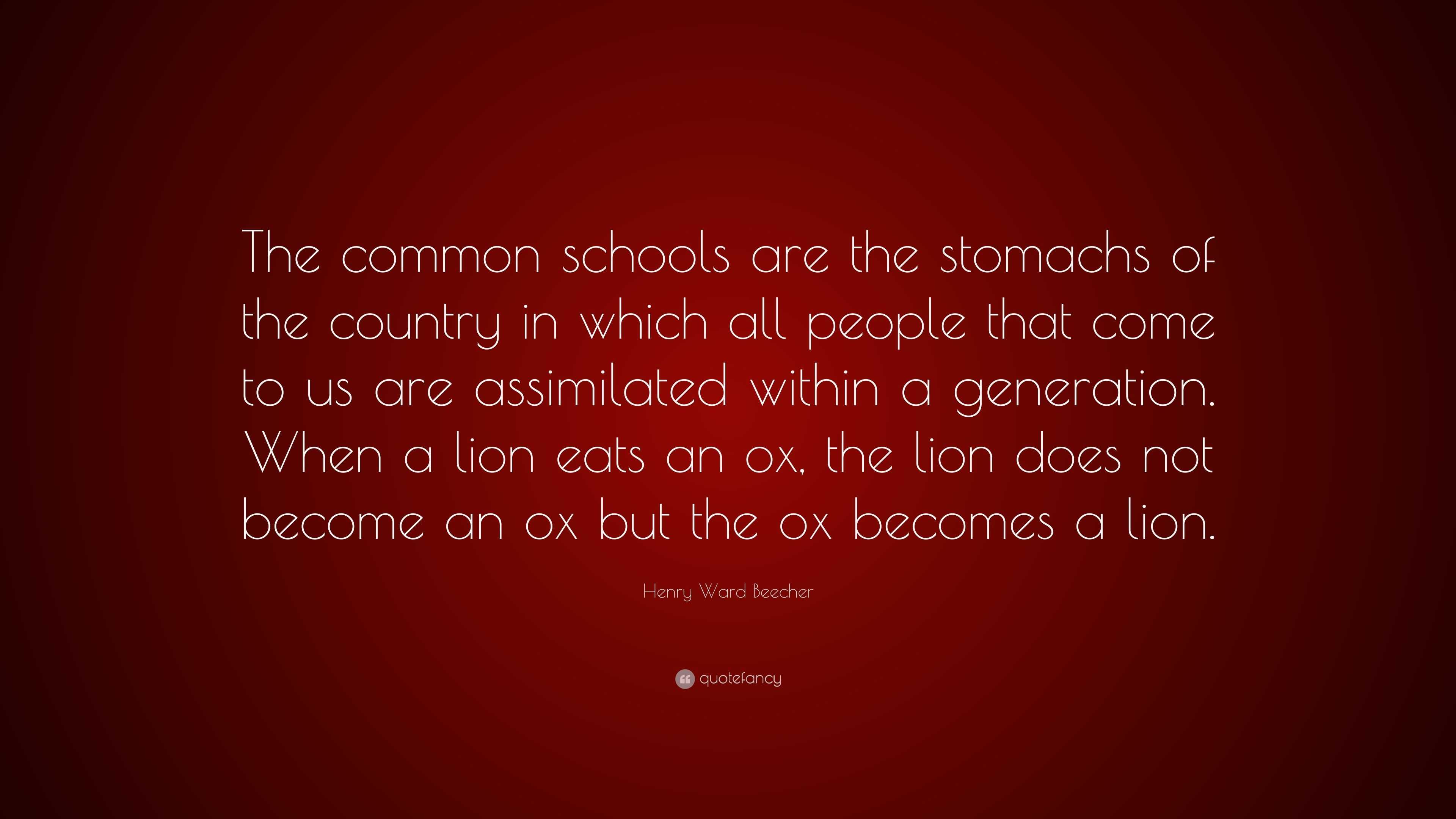 Henry Ward Beecher Quote: “The common schools are the stomachs of the ...